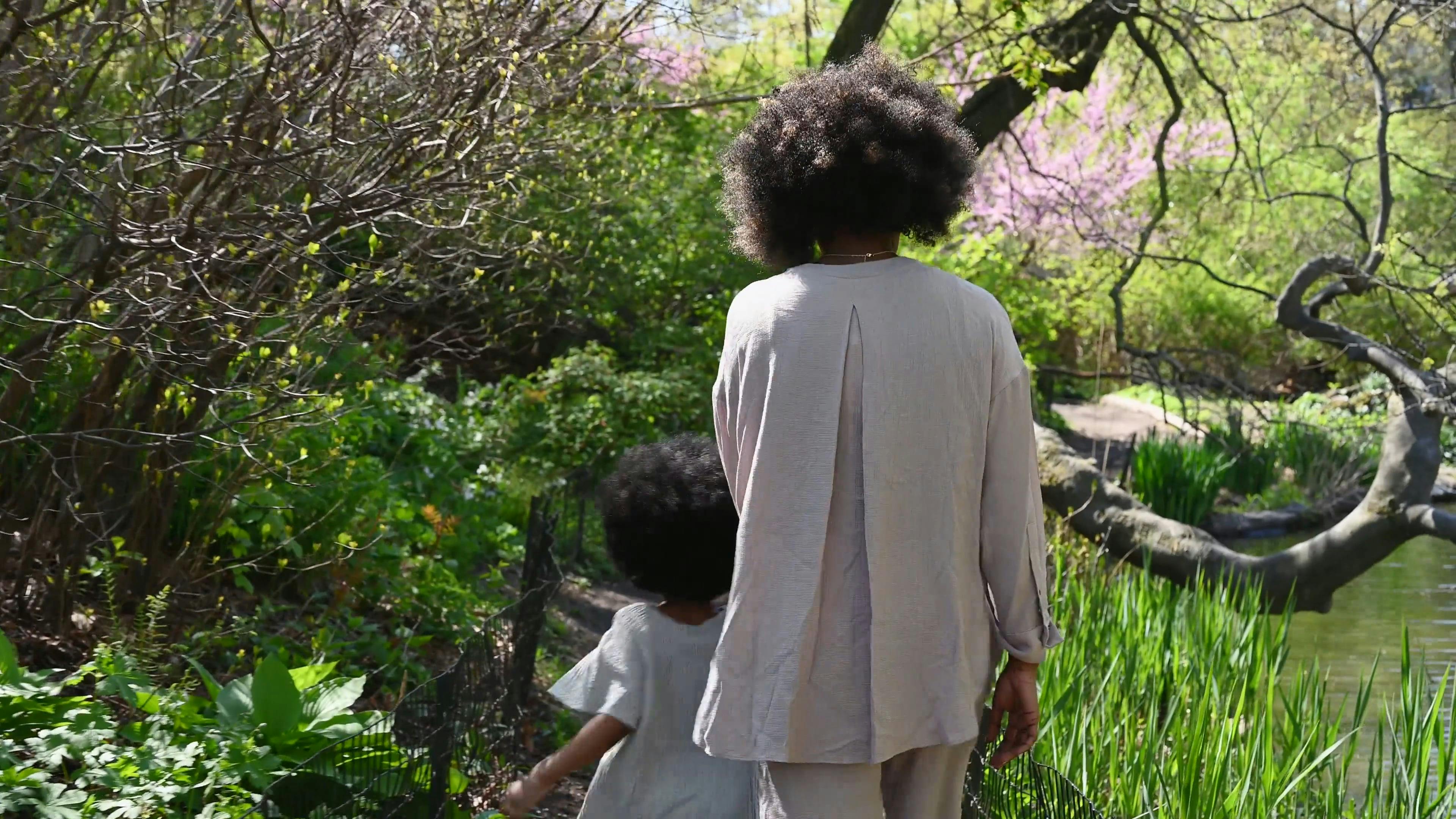 Jungle, Family Videos, Download The BEST Free 4k Stock Video Footage ...