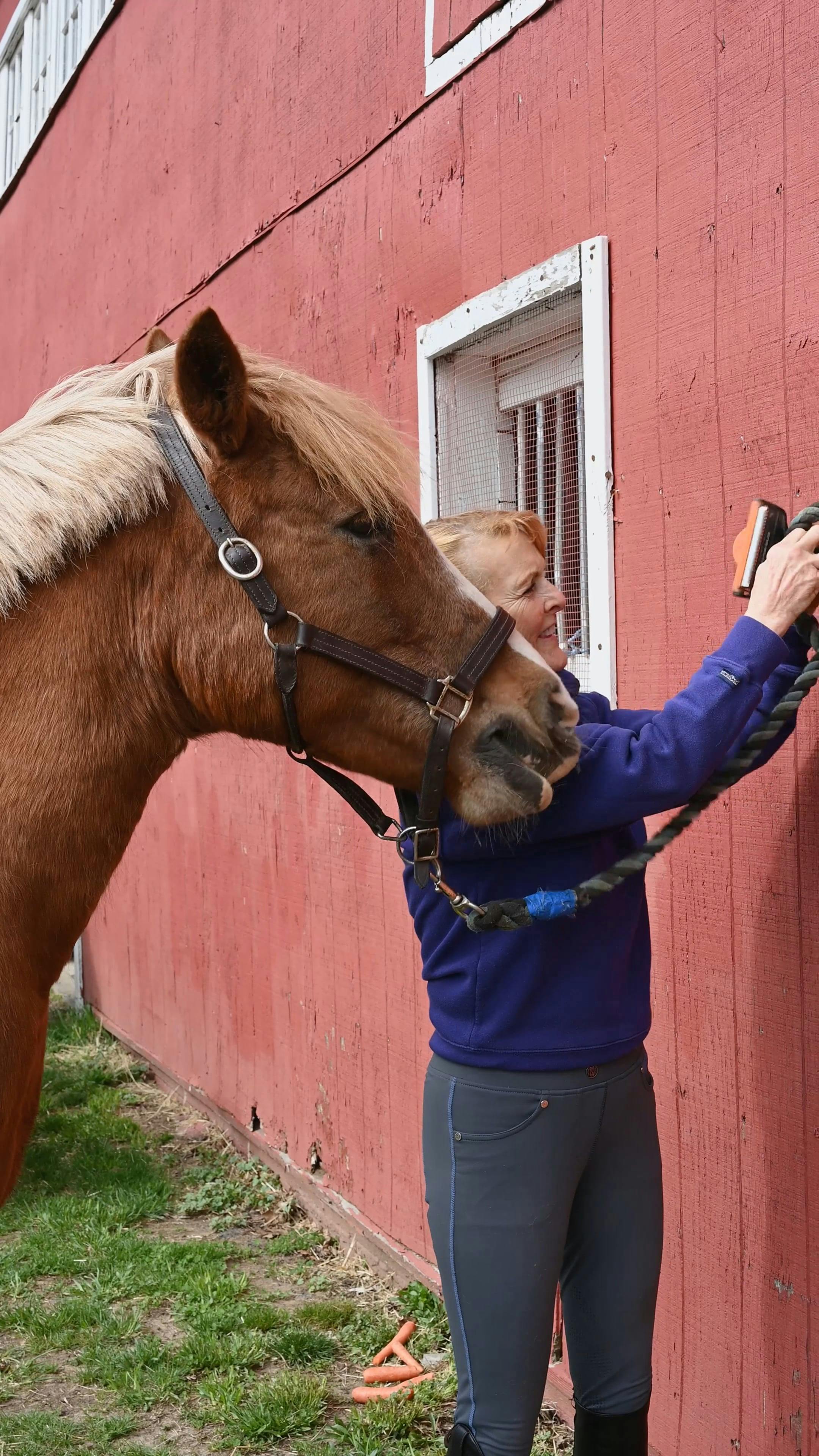 Woman Tying a Lead Rope · Free Stock Video