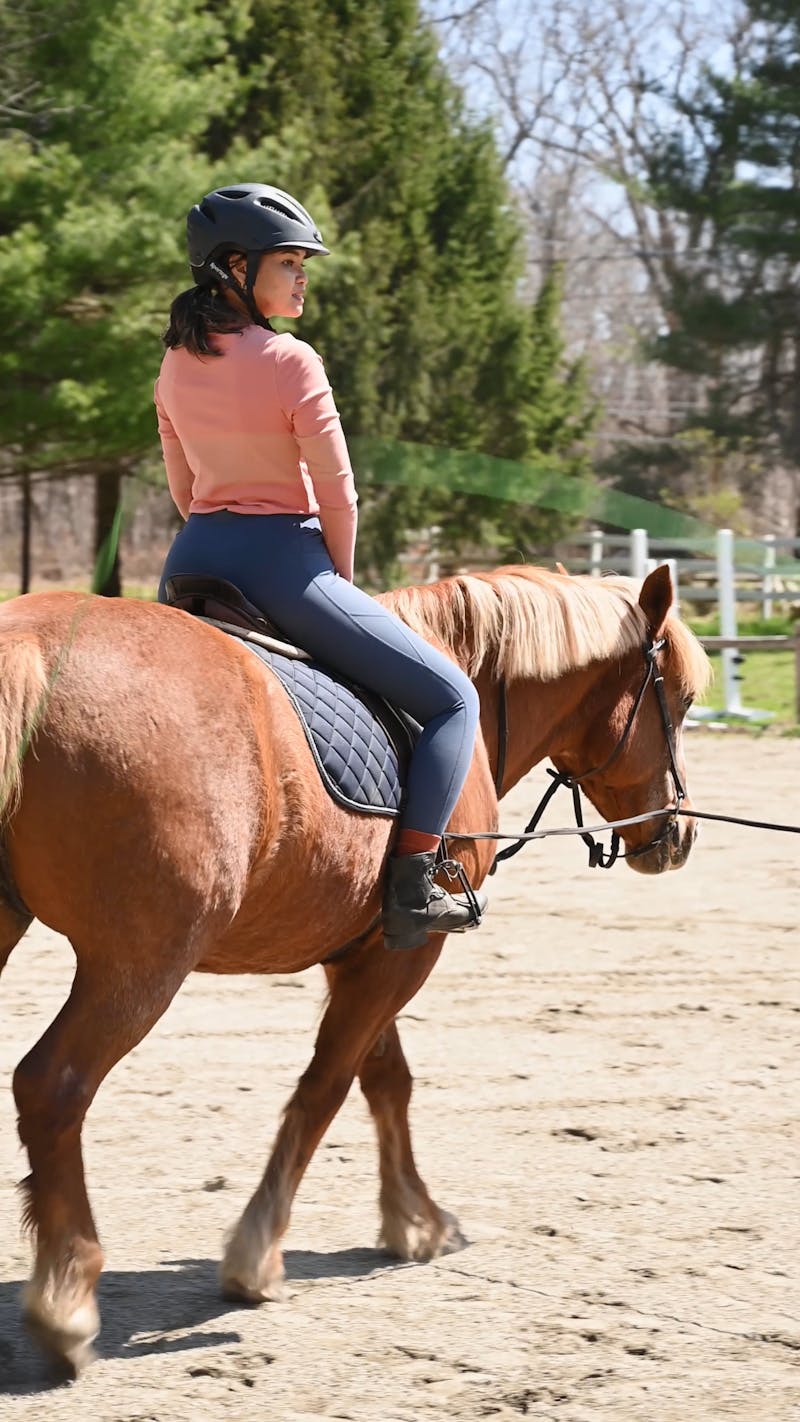 Women Horse Riding Videos, Download The BEST Free 4k Stock Video ...