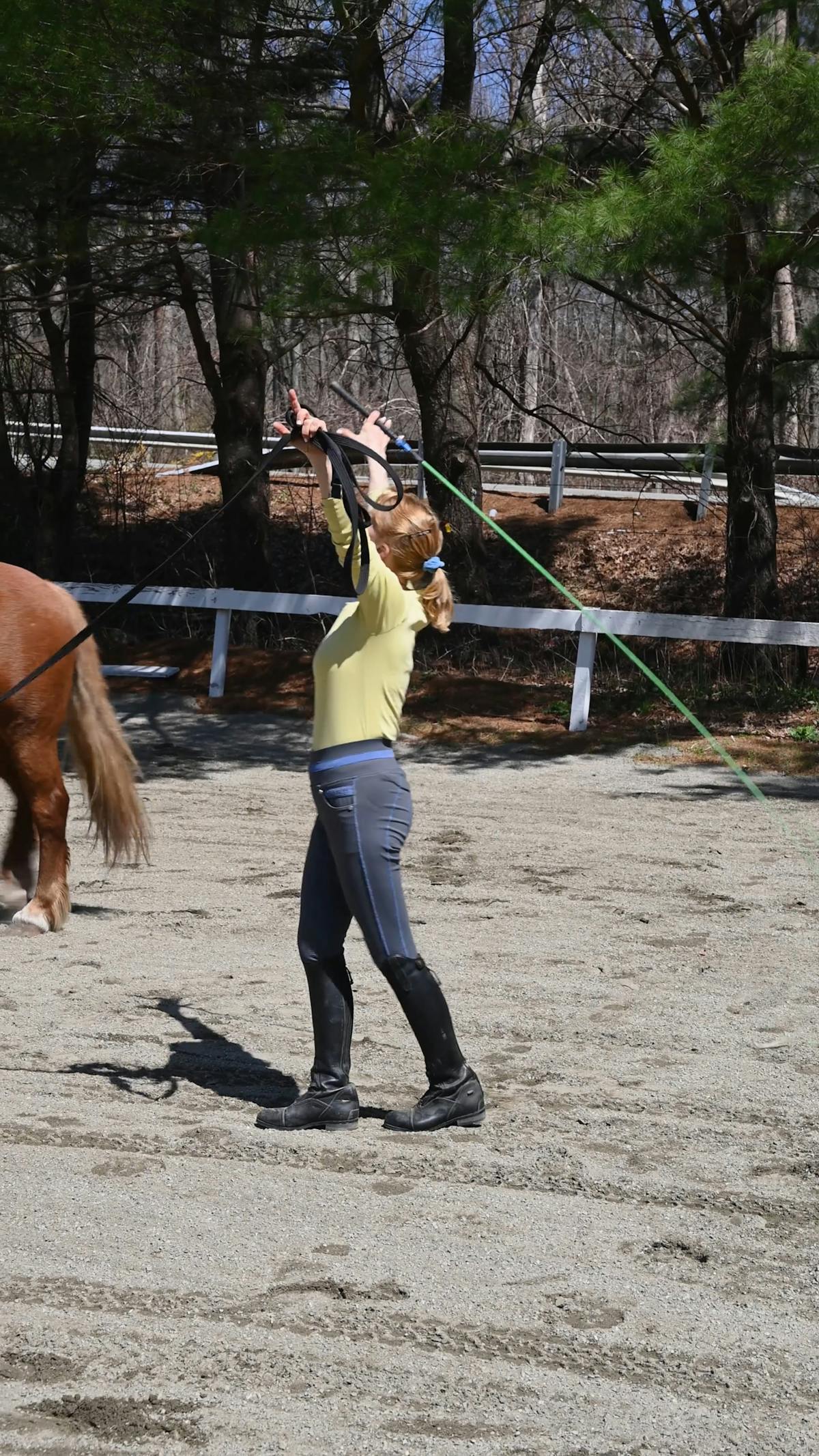 Women Horse Riding Videos, Download The BEST Free 4k Stock Video ...