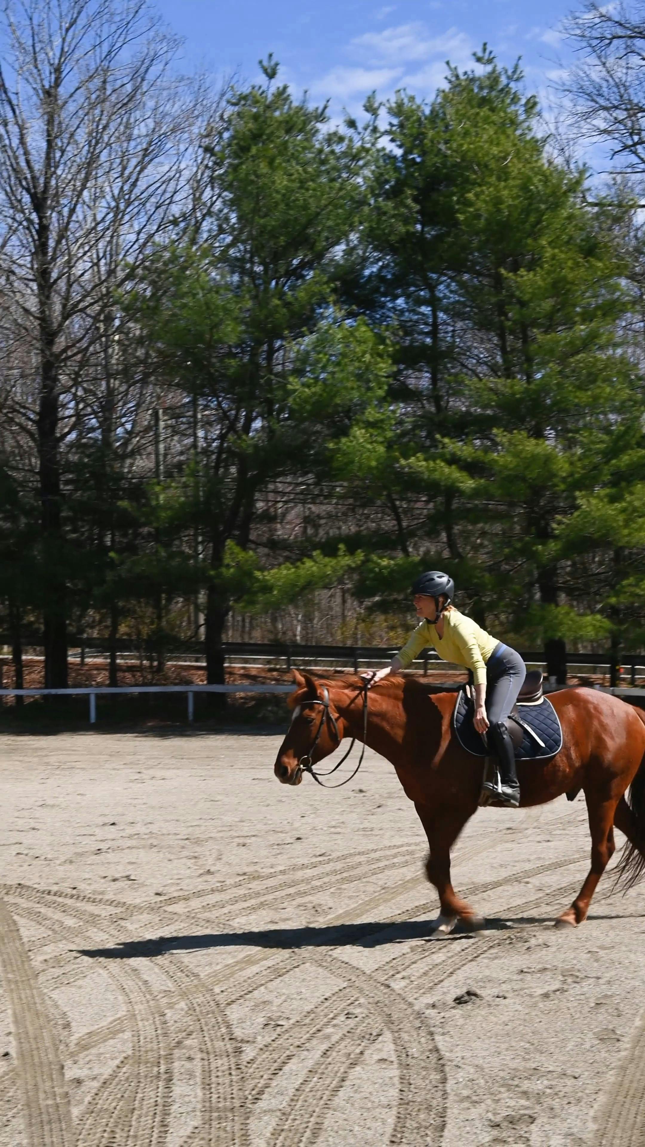 Equestrian Training Videos, Download The BEST Free 4k Stock Video ...