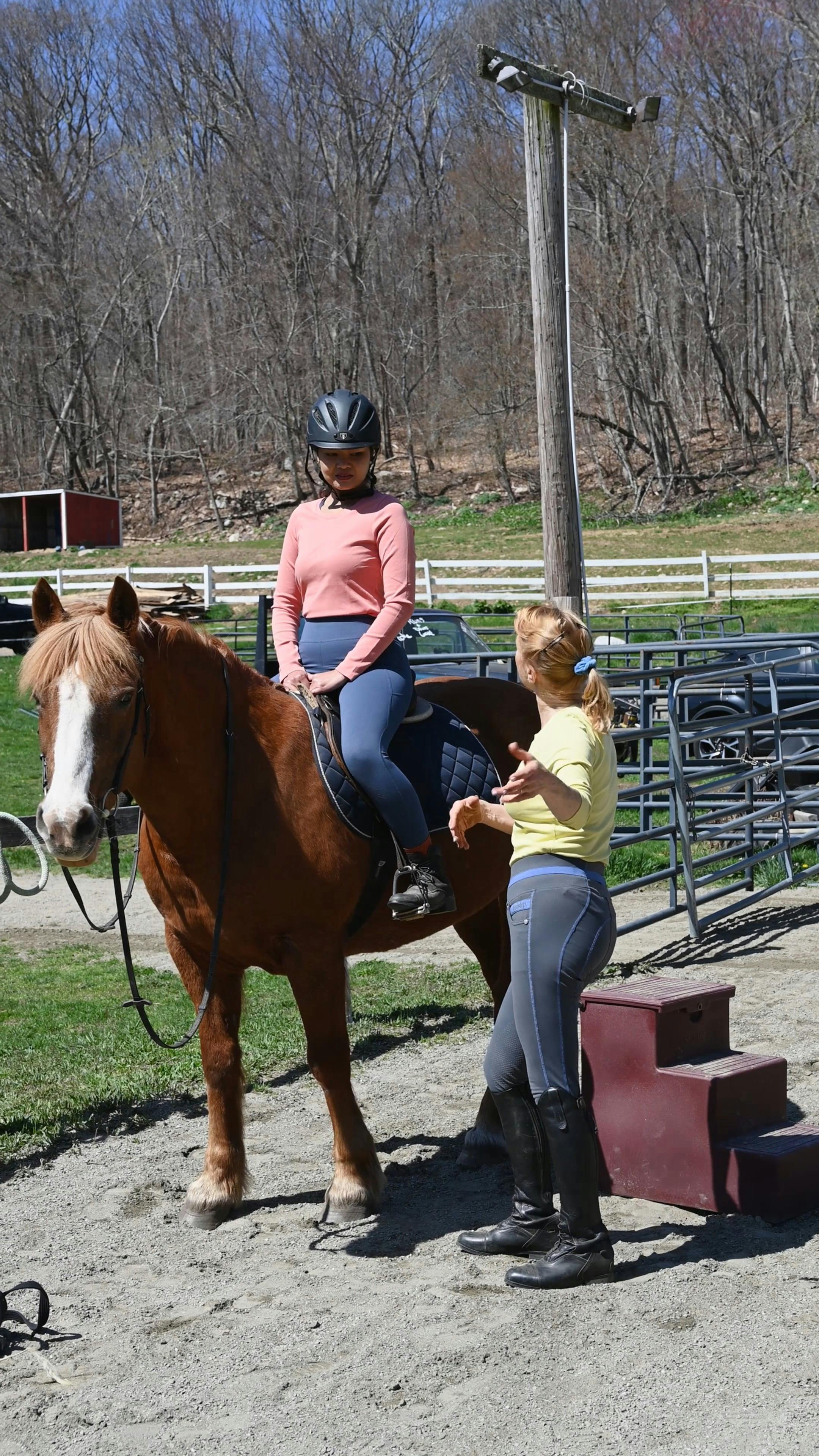 Horse Safety Videos, Download The BEST Free 4k Stock Video Footage ...