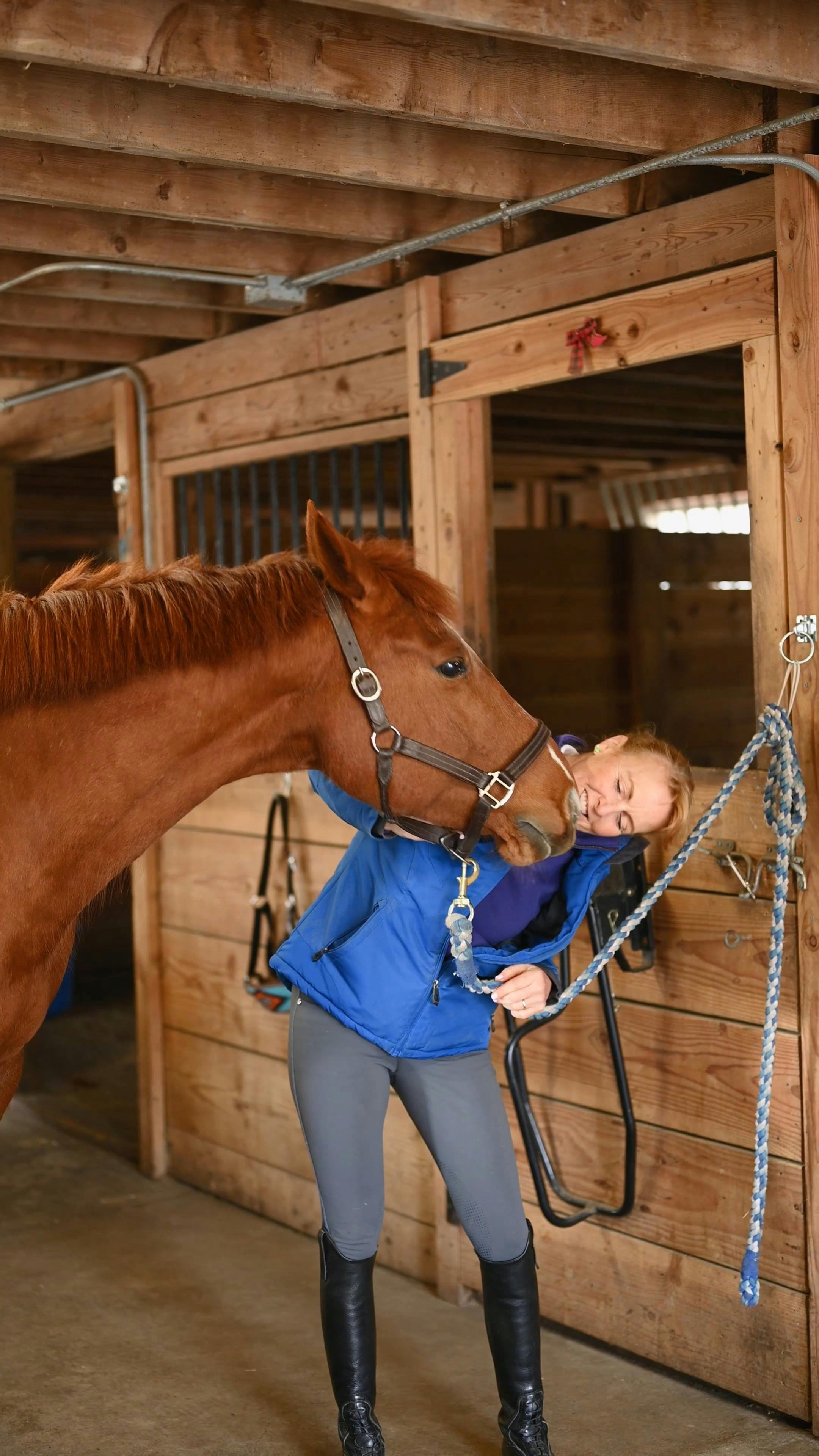 Stall Rider Videos, Download The BEST Free 4k Stock Video Footage ...