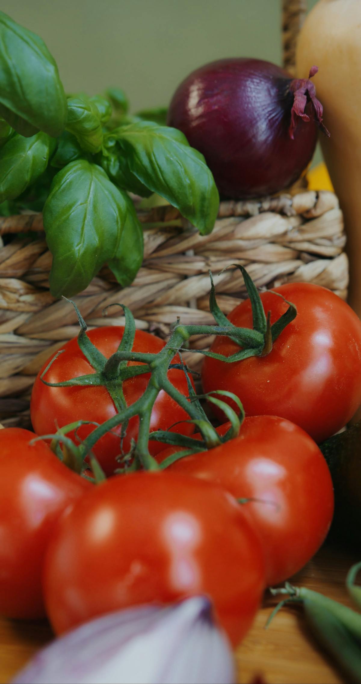 Basil Videos, Download The BEST Free 4k Stock Video Footage & Basil HD ...