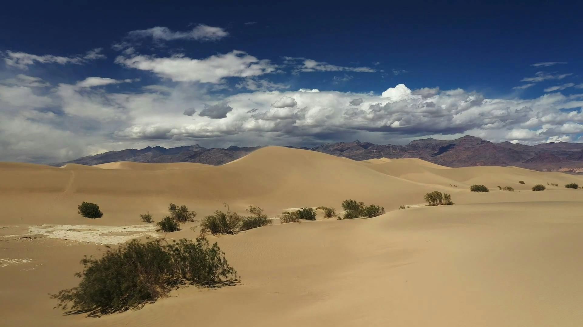 The Phenomenon Of Drought Videos, Download The BEST Free 4k Stock Video ...