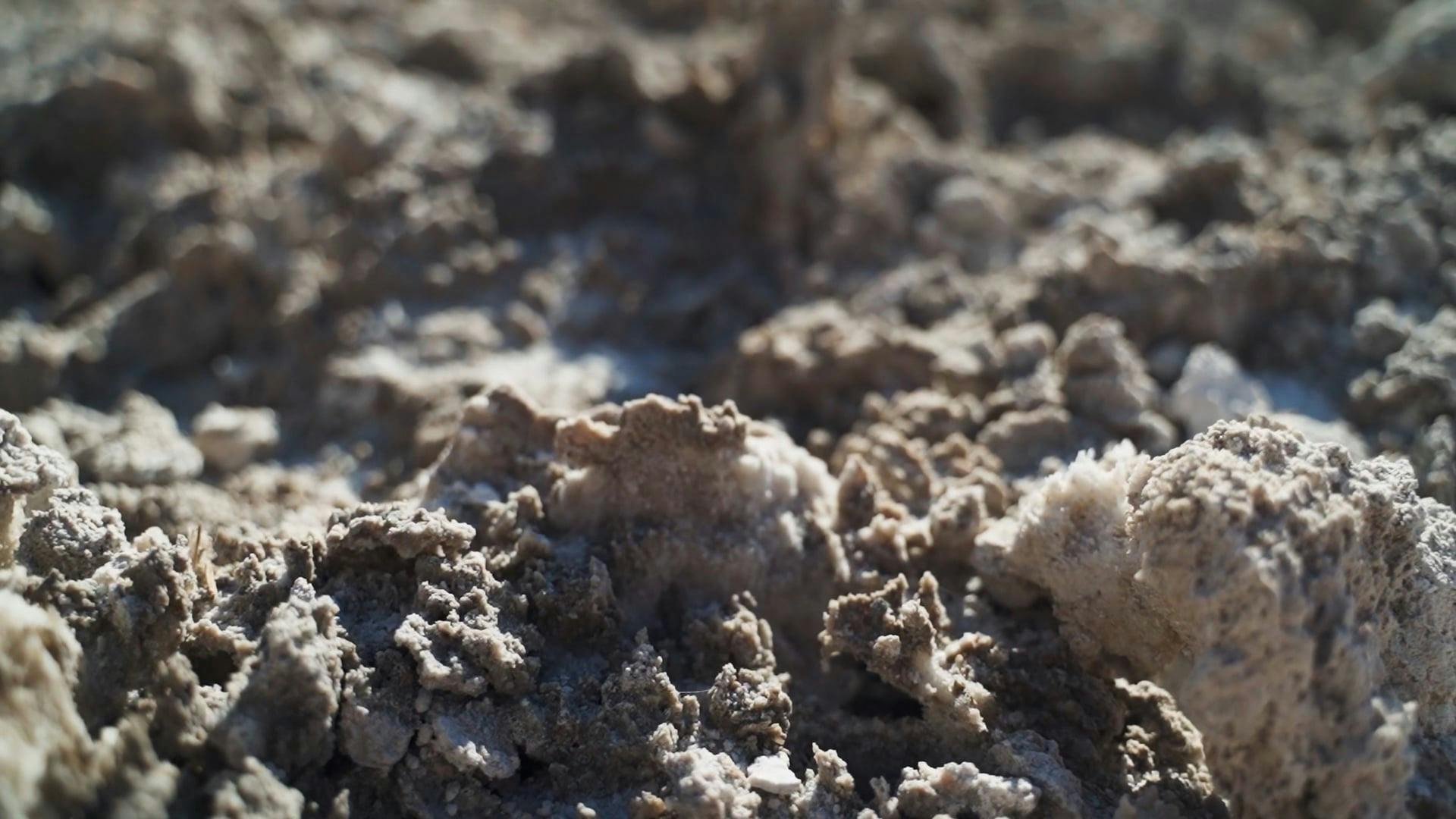 Soil Formation Videos, Download The BEST Free 4k Stock Video Footage ...