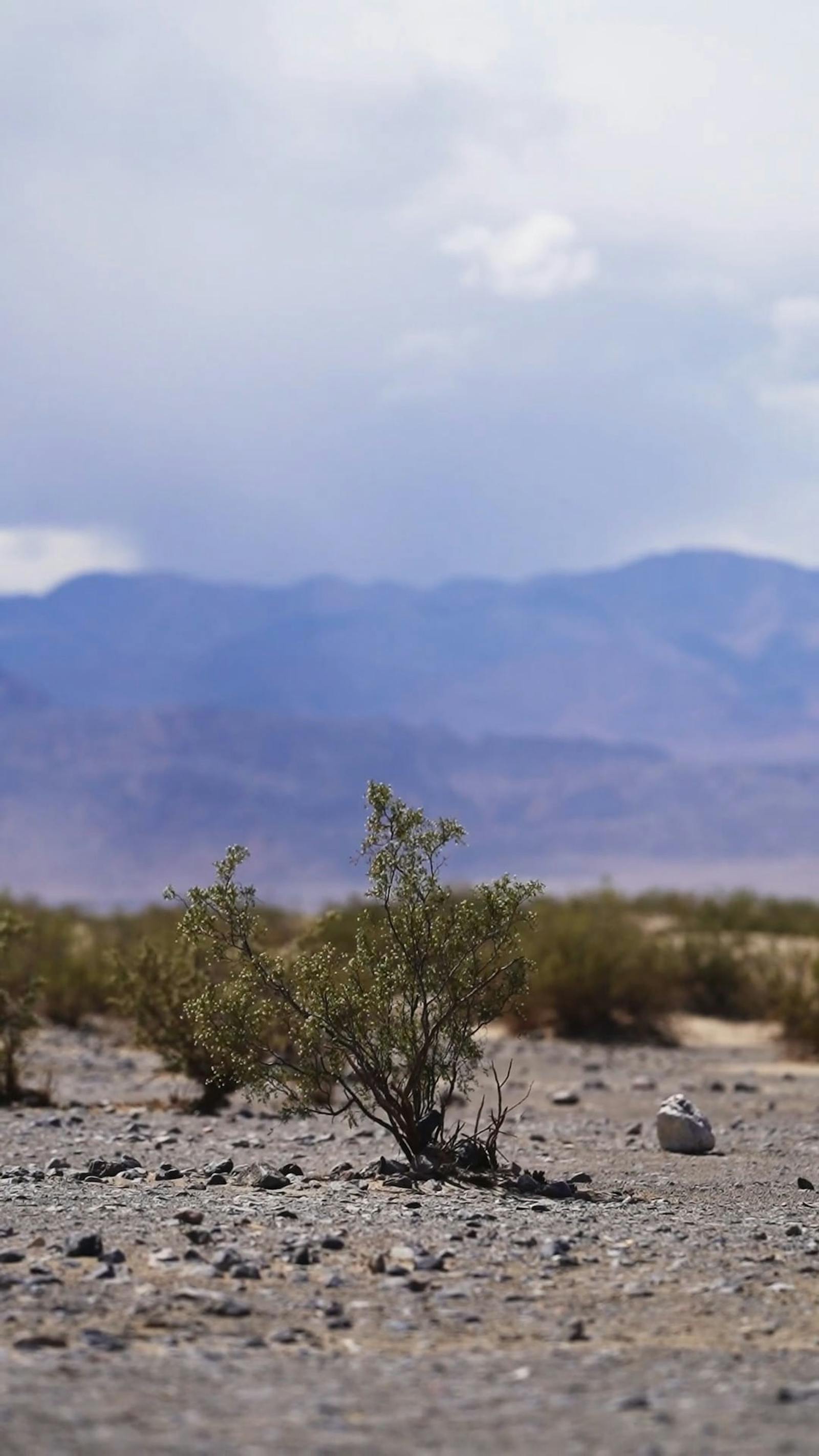 Road Background Videos, Download The BEST Free 4k Stock Video Footage ...