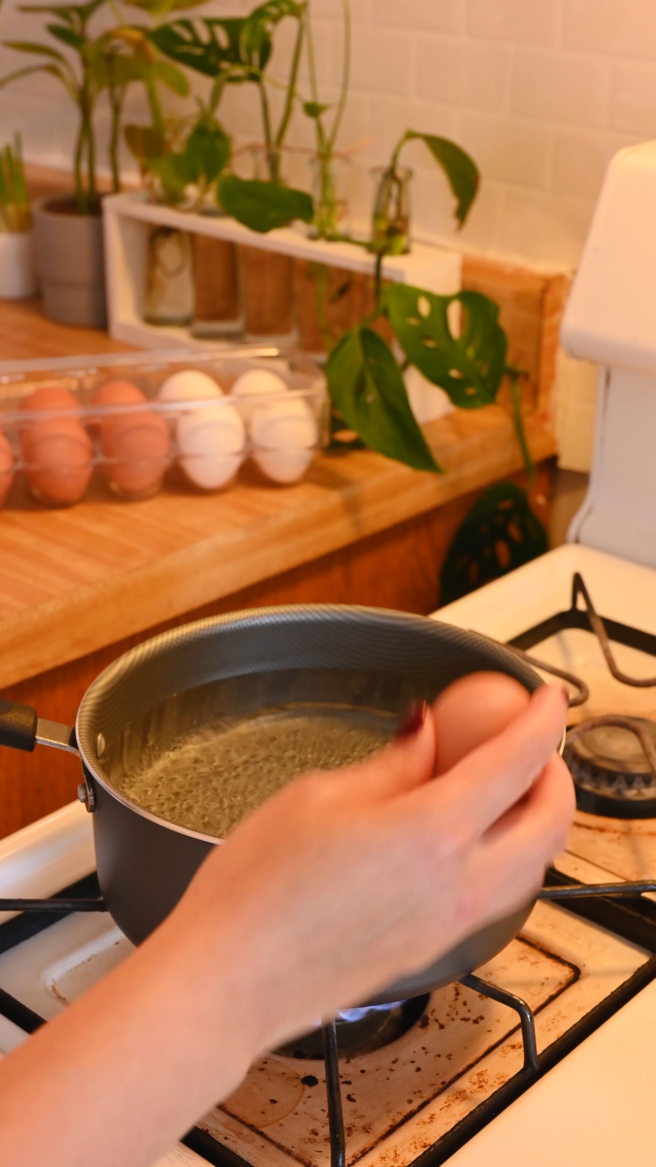 A Person Cooking Egg · Free Stock Video