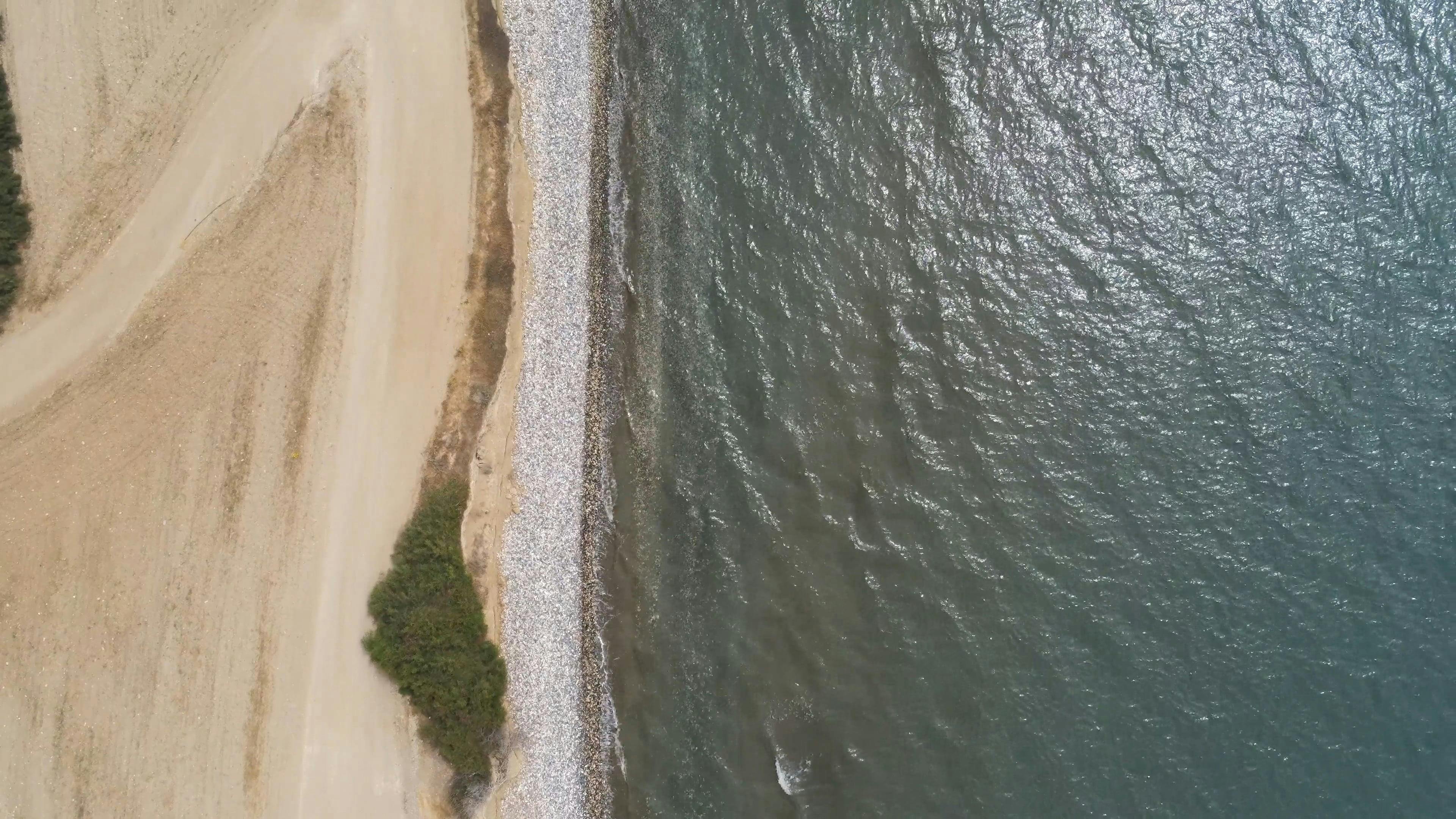 Top View of Sand Beach and Sea Free Stock Video Footage, Royalty-Free ...