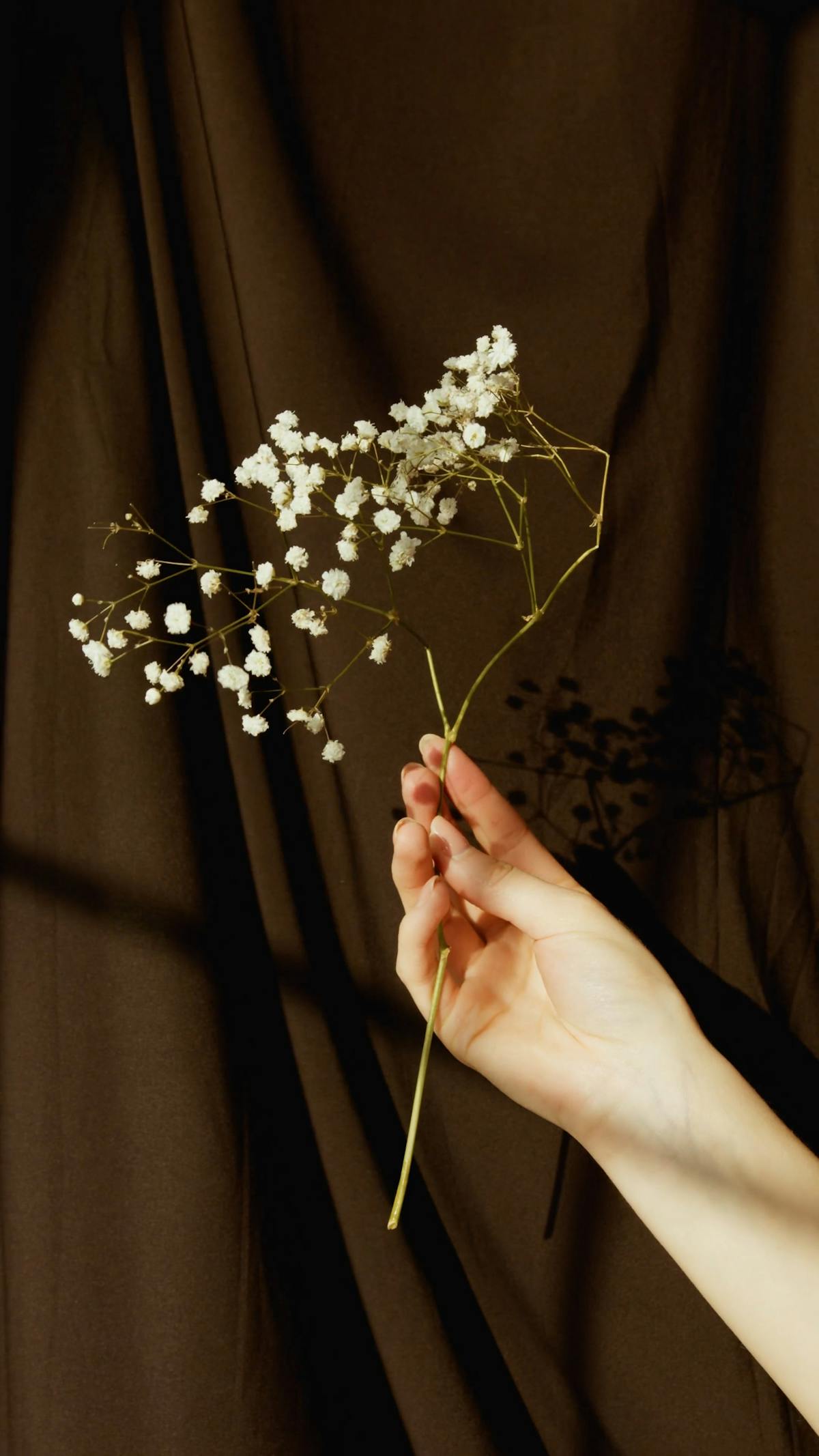 Brown Gfx Background Videos, Download The BEST Free 4k Stock Video ...