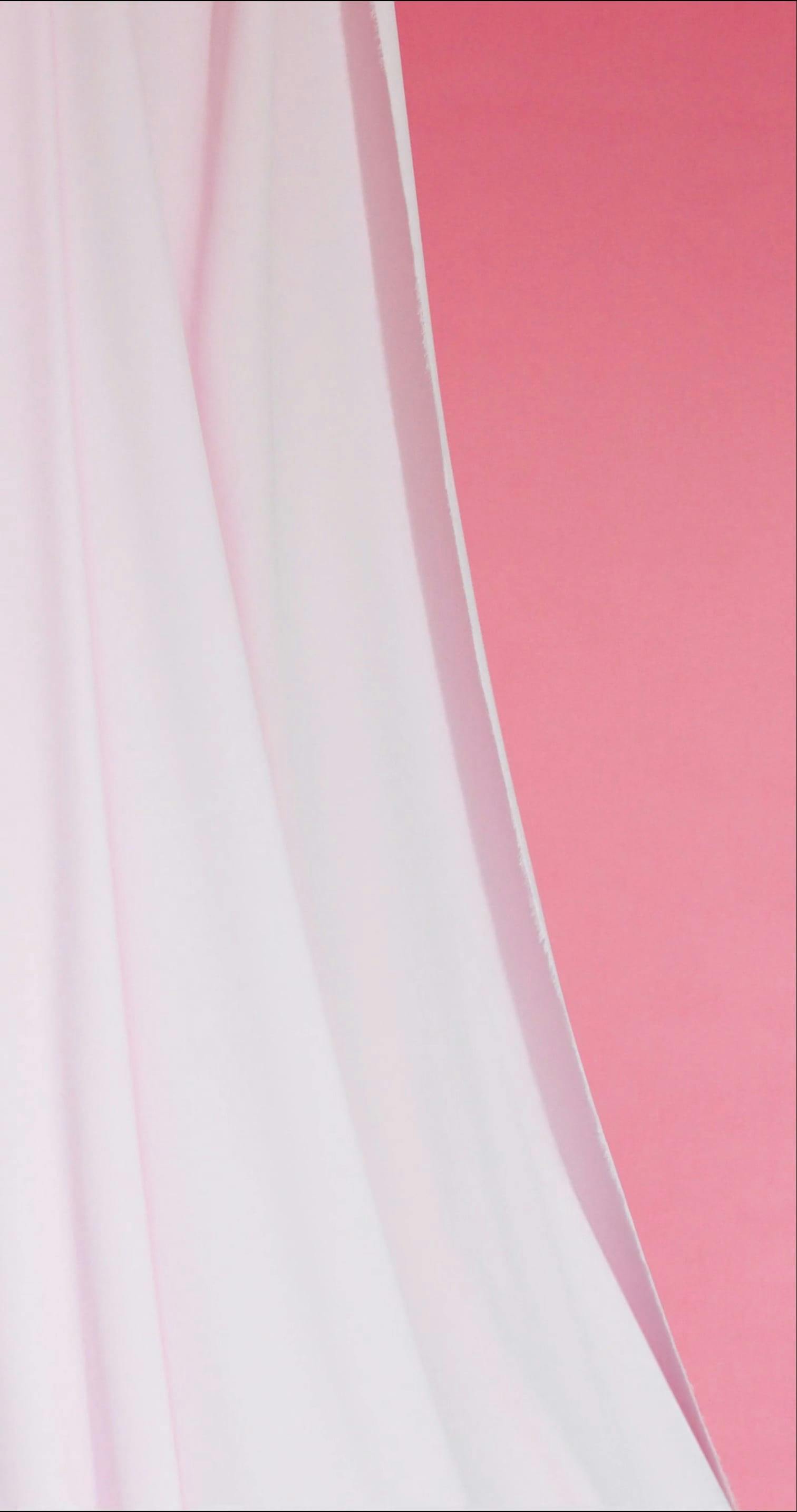 Gentle Pink Color Background Videos, Download The BEST Free 4k Stock ...