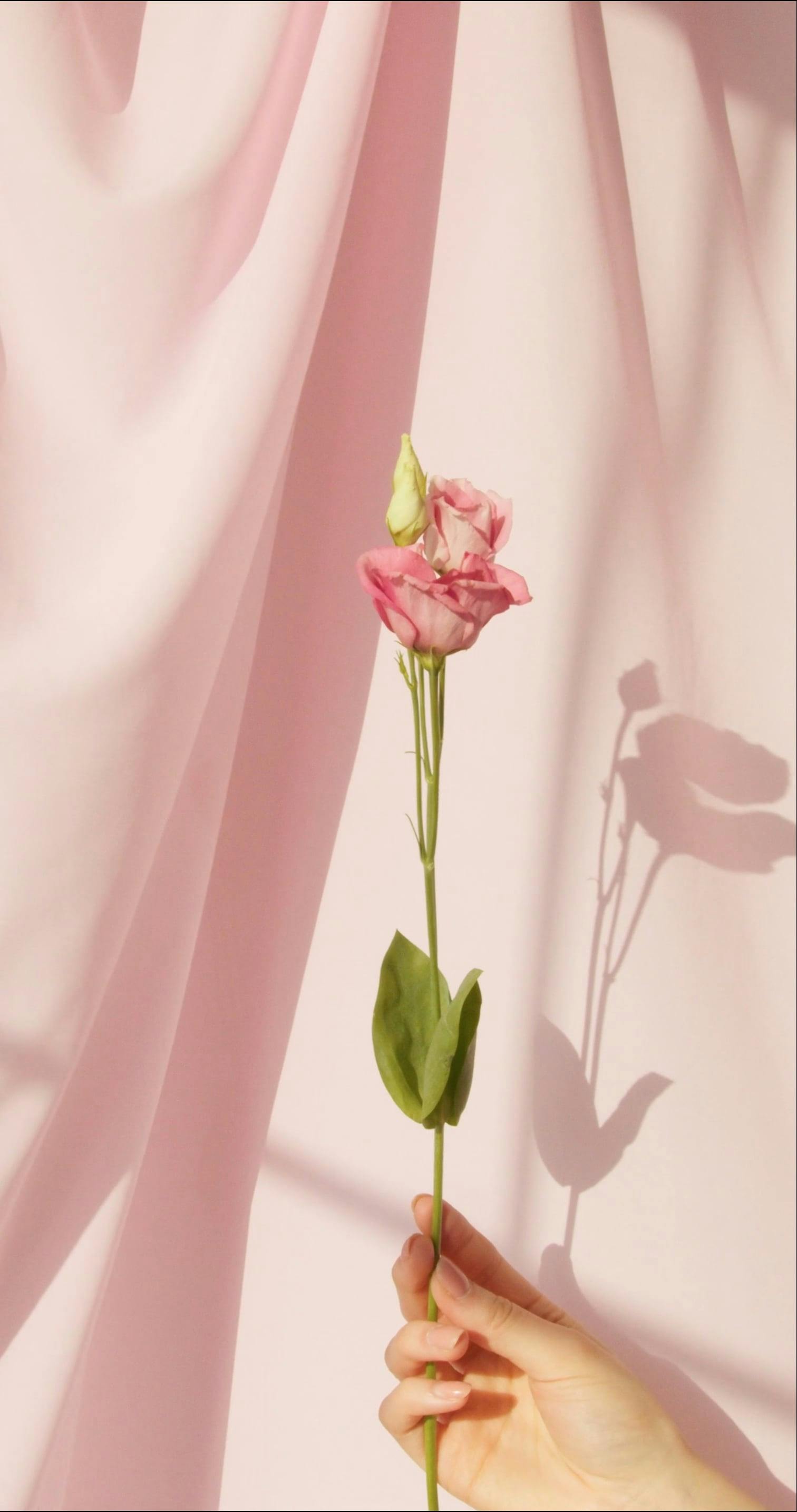 Vertical Spring Background Videos, Download The BEST Free 4k Stock ...