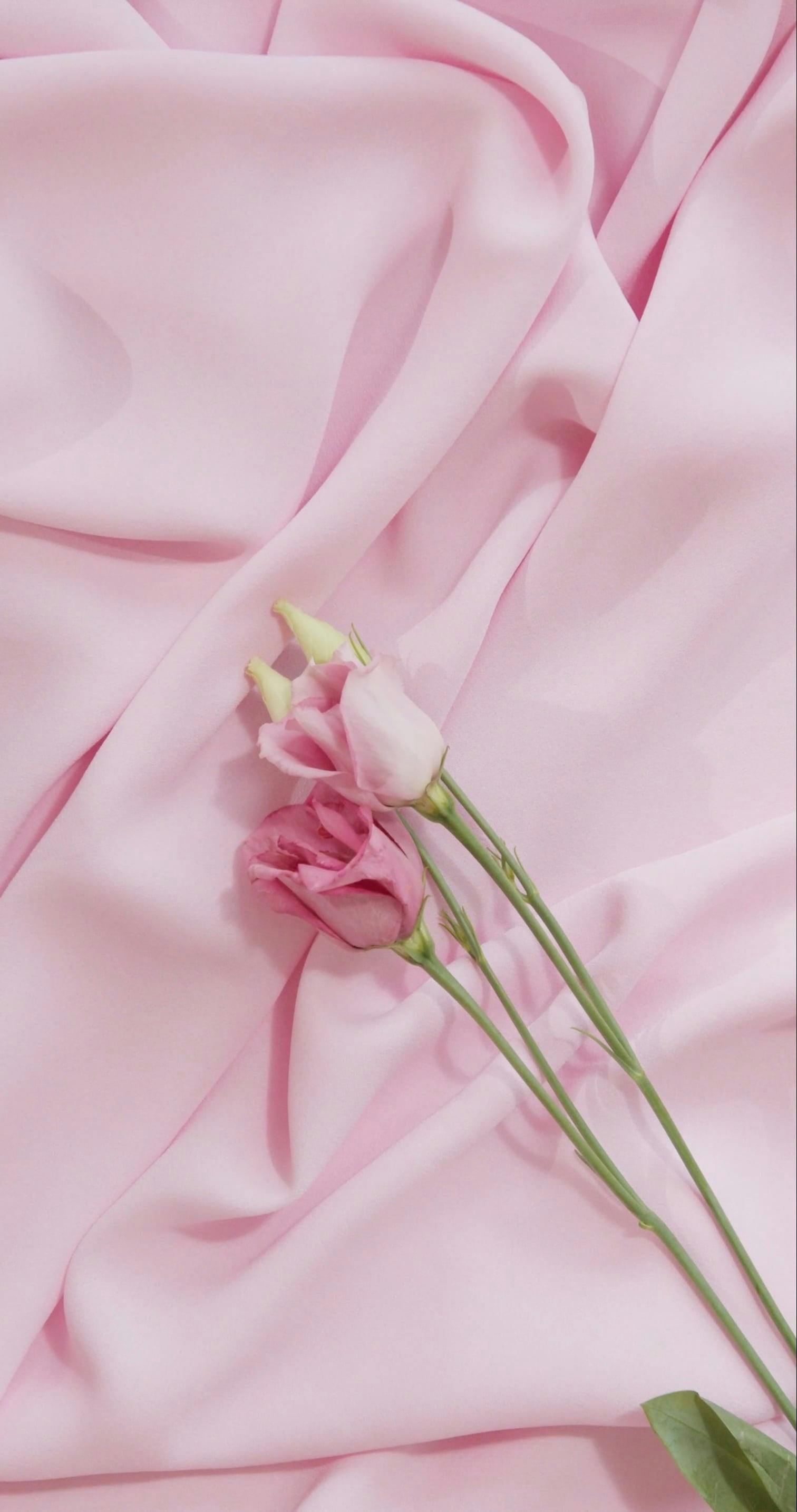 Esthetic Pink Videos, Download The BEST Free 4k Stock Video Footage ...