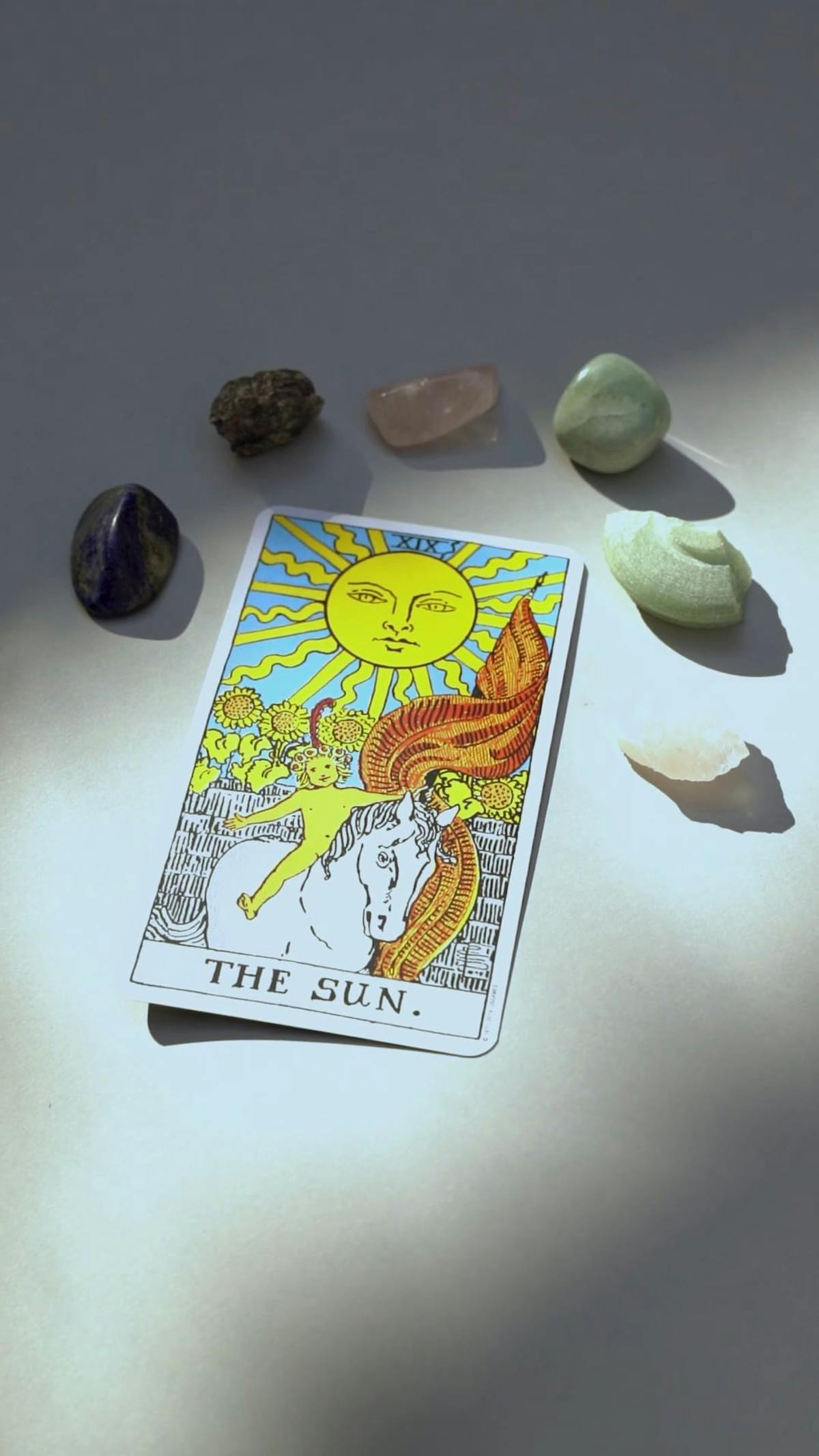 Oracle Videos, Download The BEST Free 4k Stock Video Footage & Oracle ...