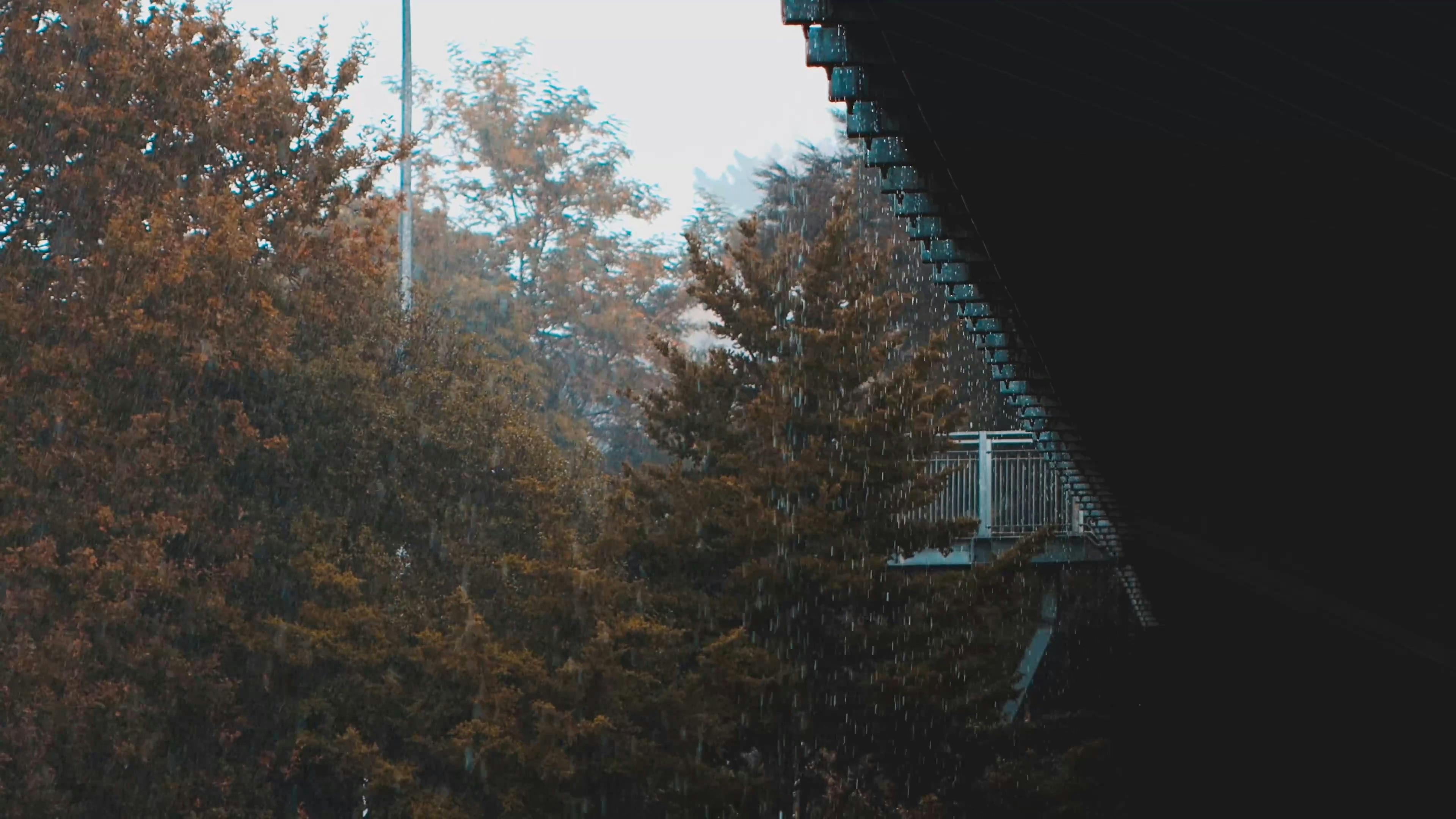 Raindrops Free Stock Video Footage, Royalty-Free 4K & HD Video Clip