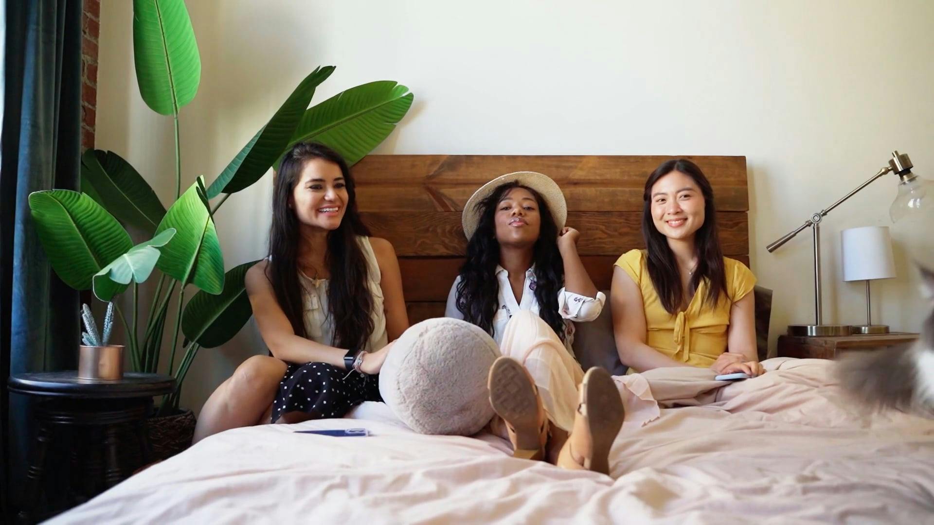 50 537+ Vidéos De Chat fun Libre de Droit, Clips Vidéo de Chat fun en ...