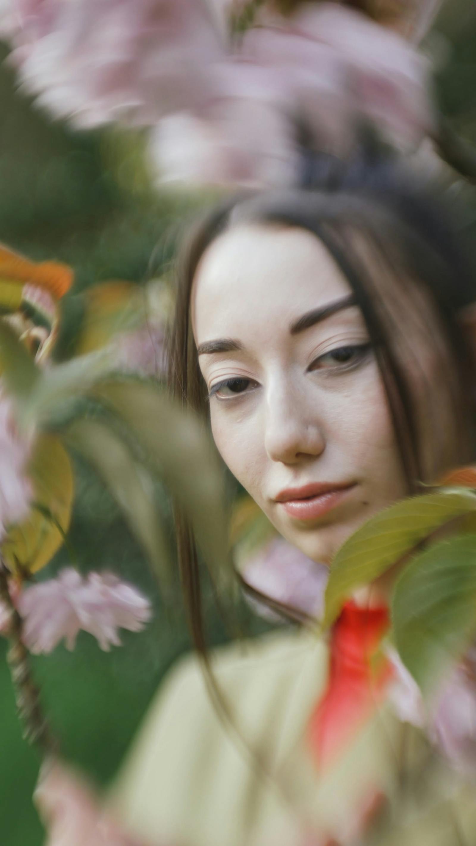 Japanese Art Videos, Download The BEST Free 4k Stock Video Footage ...