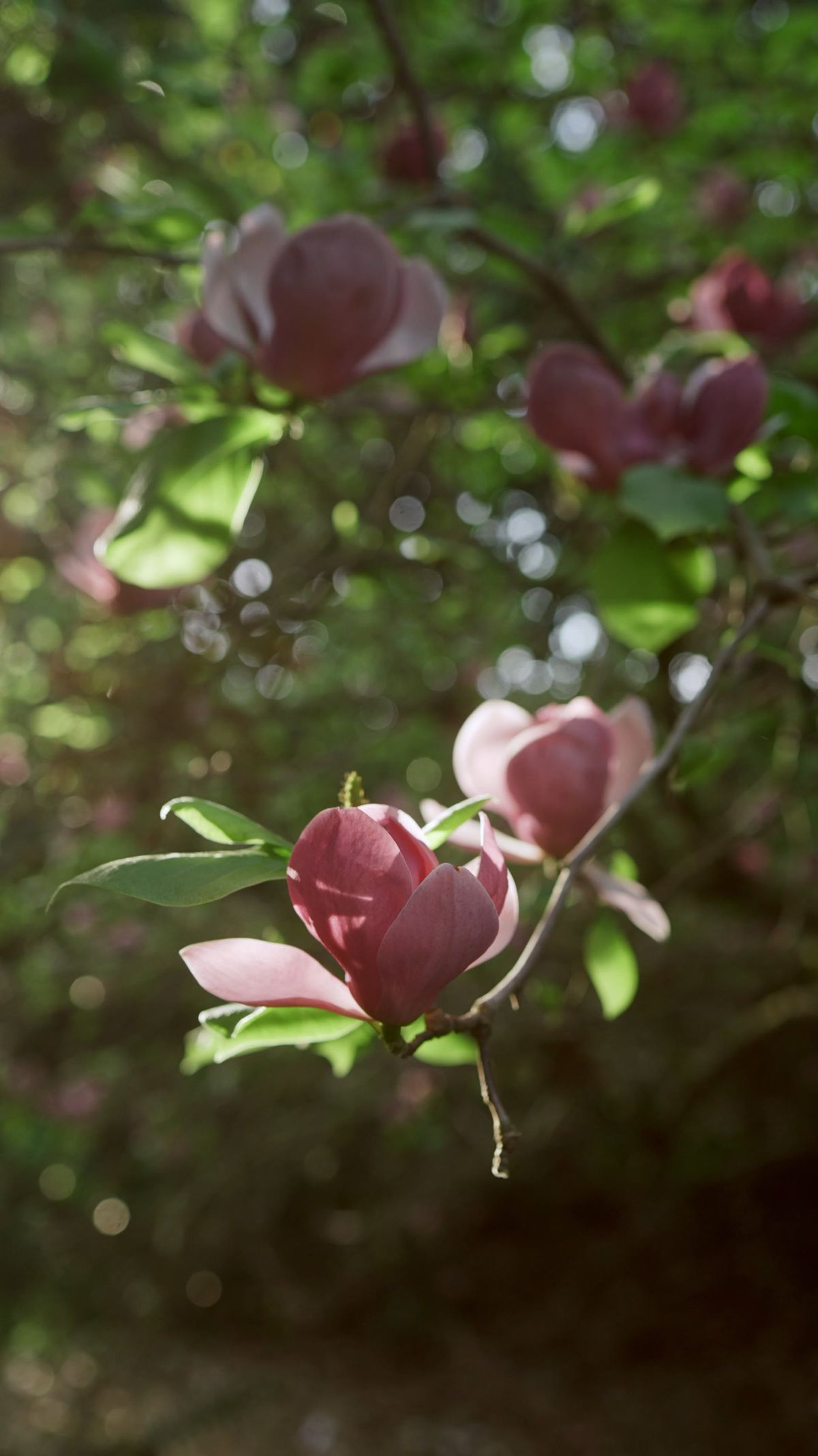 Poetry Videos, Download The BEST Free 4k Stock Video Footage & Poetry ...