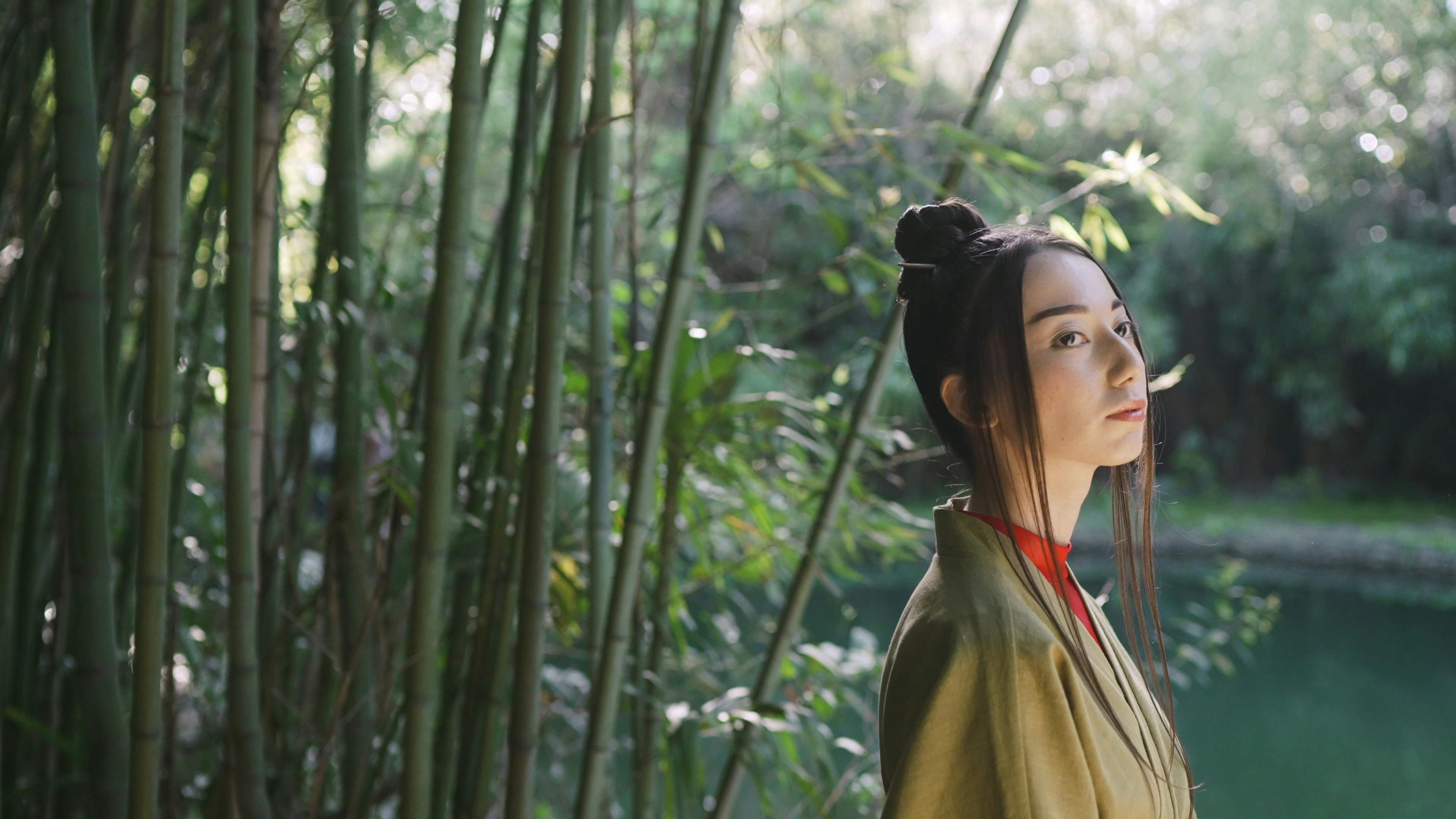 Portrait Nature Japan Rain Videos, Download The BEST Free 4k Stock ...