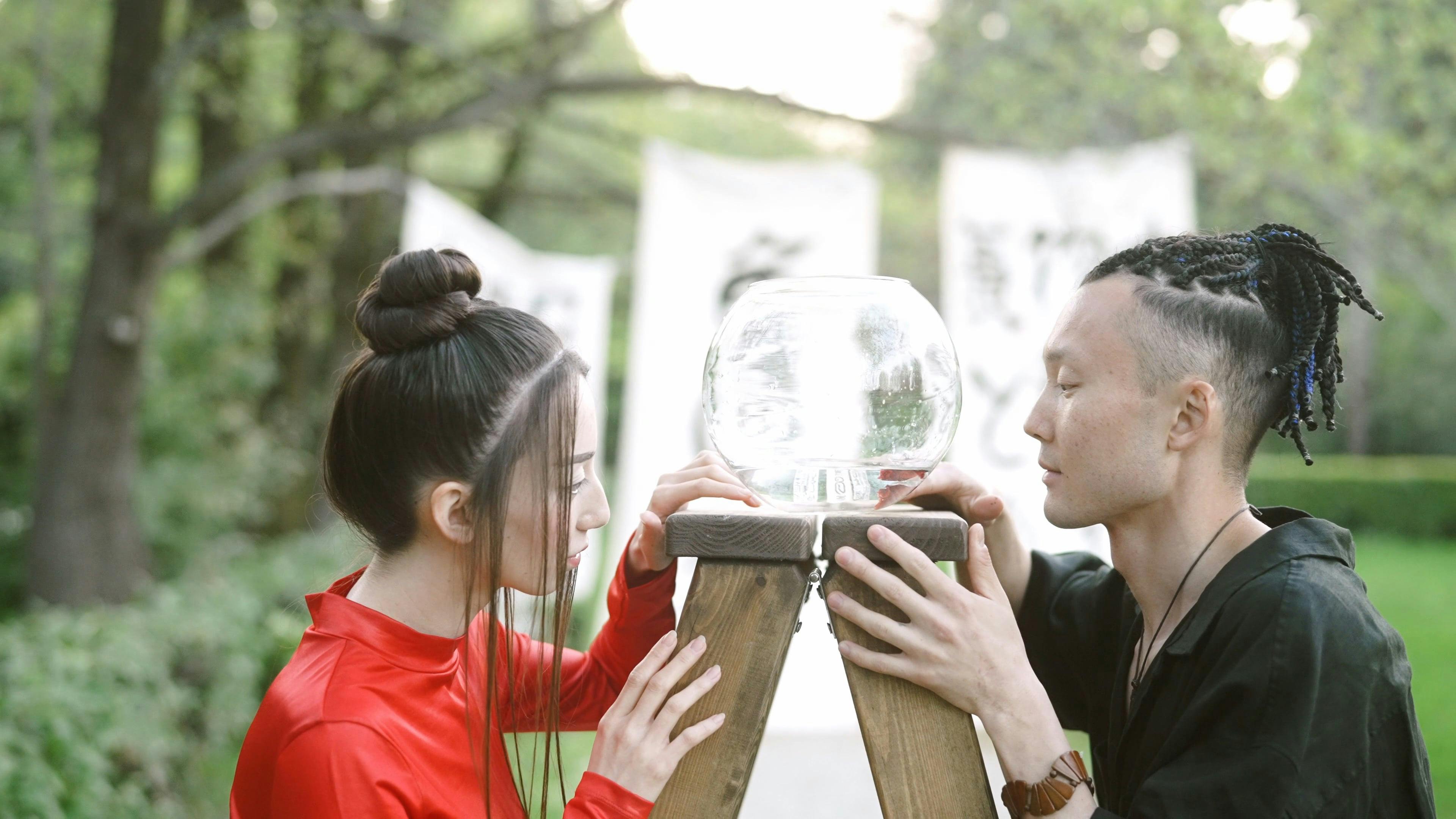 Megamind Fish Guy Videos, Download The BEST Free 4k Stock Video Footage ...