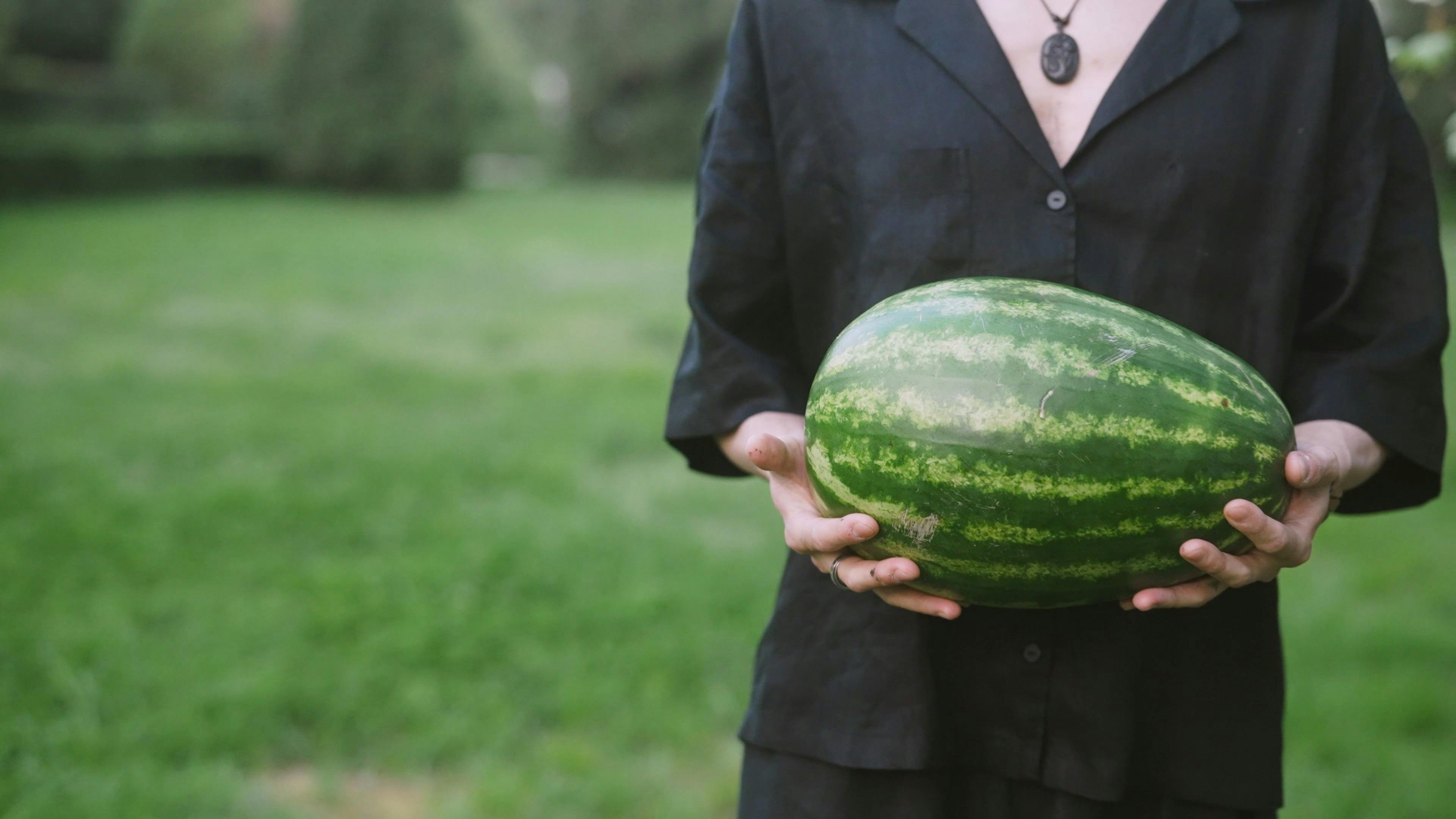 Melon Man Videos, Download The BEST Free 4k Stock Video Footage & Melon Man HD Video Clips