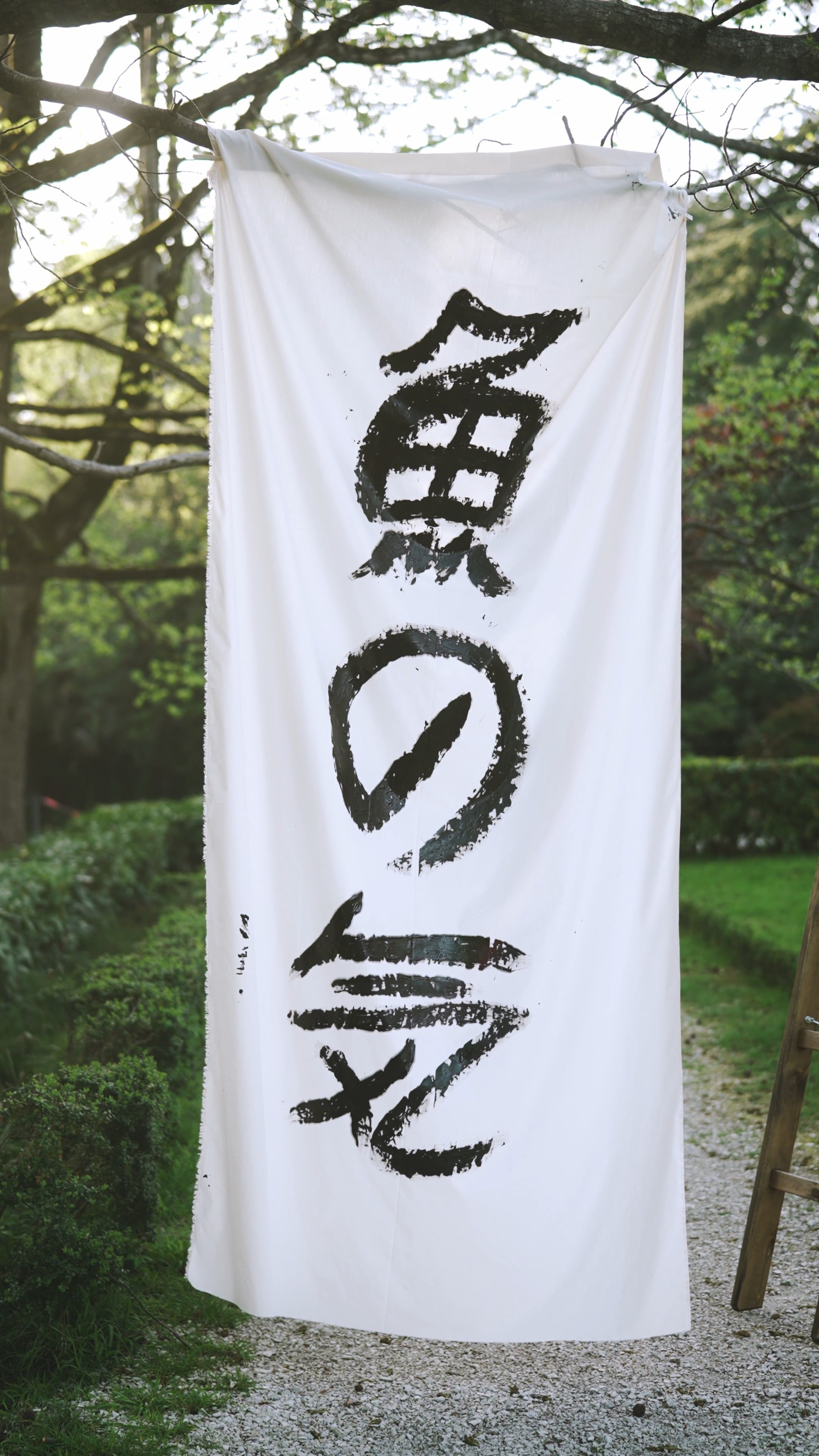 Woman Standing On Pathway With A Banner Free Stock Video Footage ...