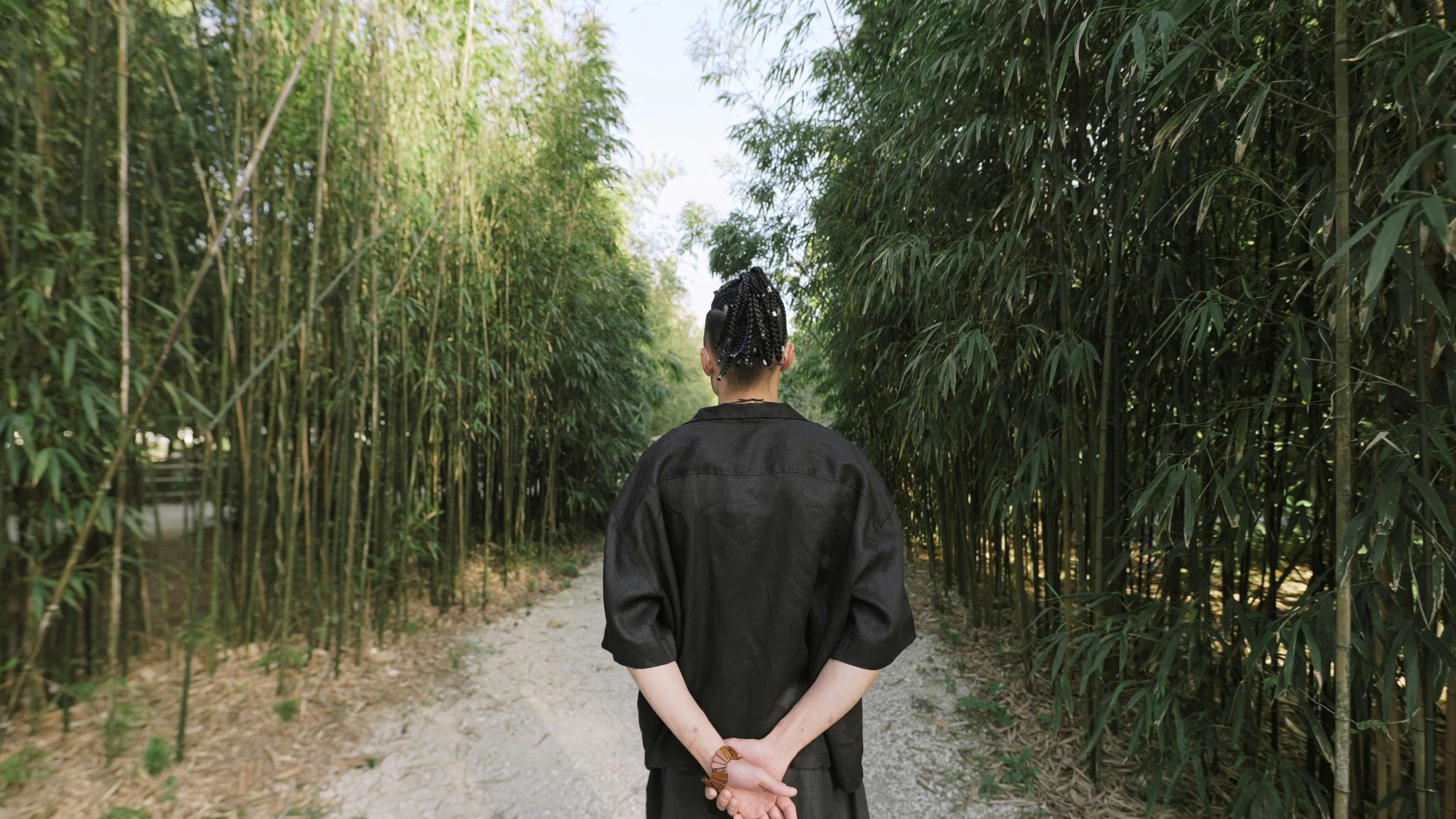 Japan Back Videos, Download The BEST Free 4k Stock Video Footage ...