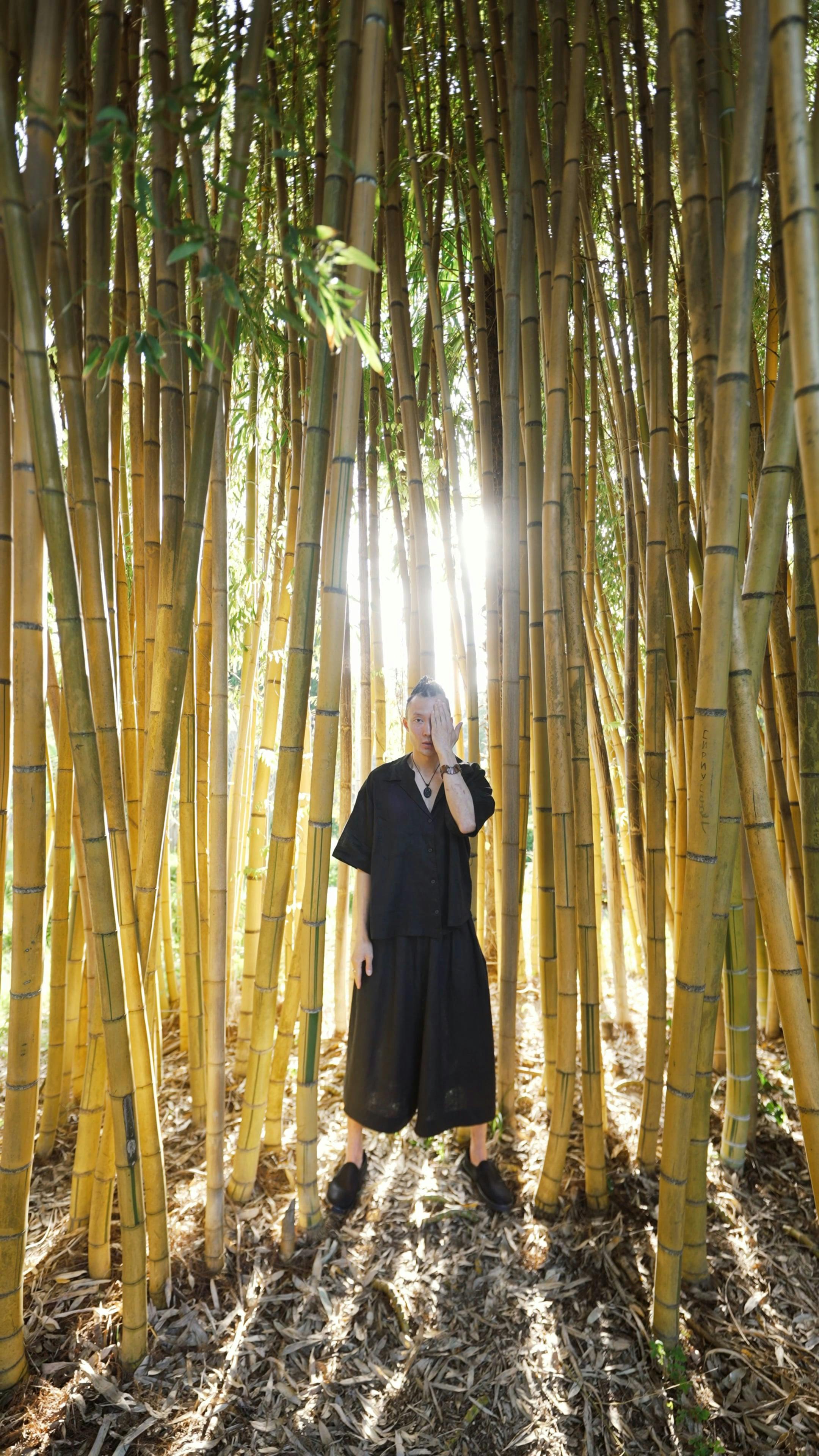 Japan Vertical Videos, Download The BEST Free 4k Stock Video Footage ...