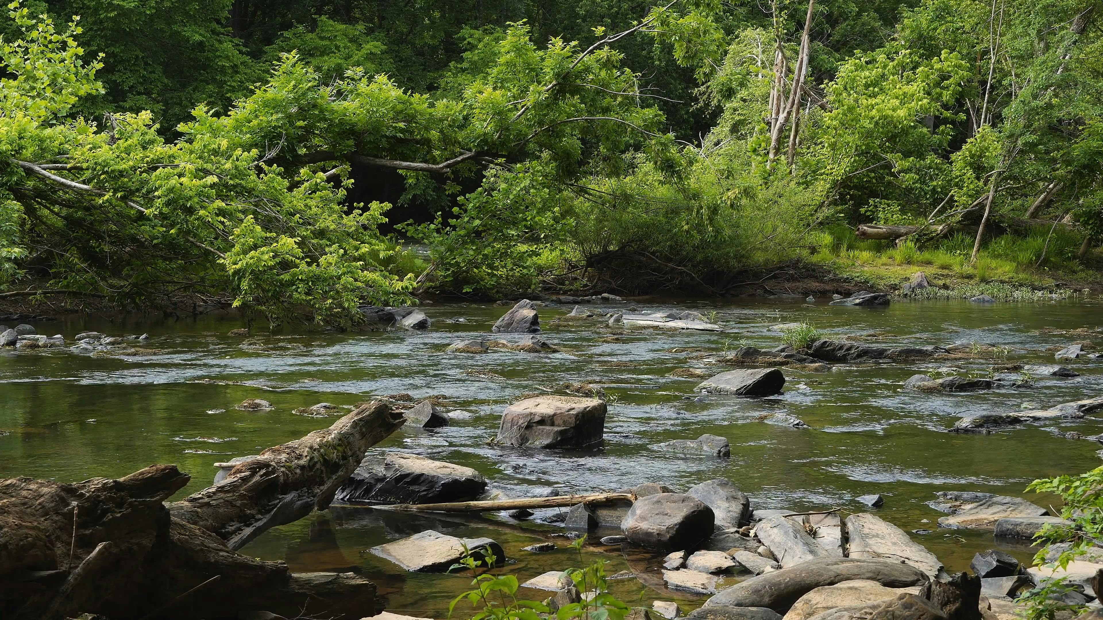 A Shallow River Streaming Through A Bed Of Rocks · Free Stock Video