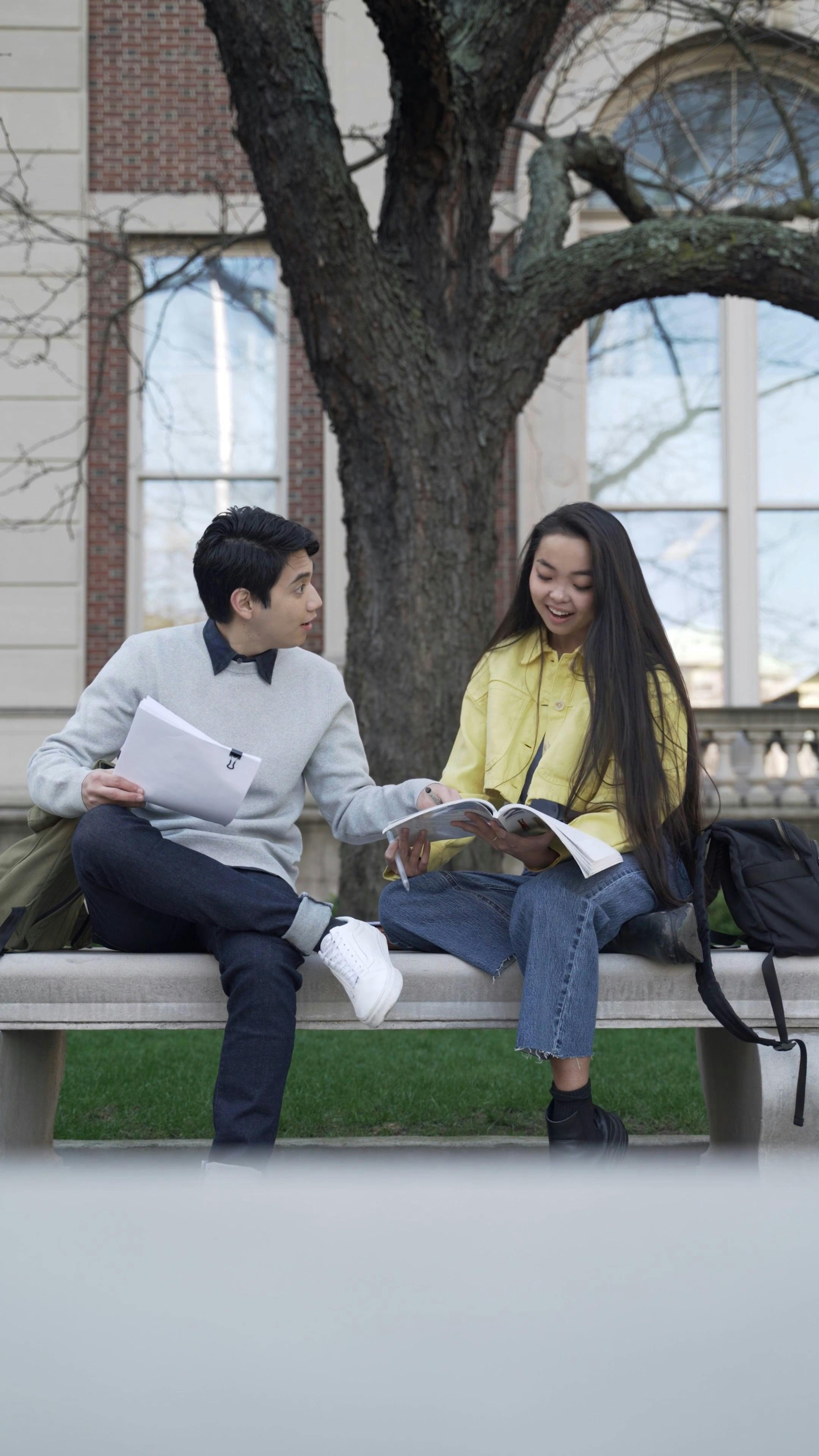 A Group of Students Studying · Free Stock Video