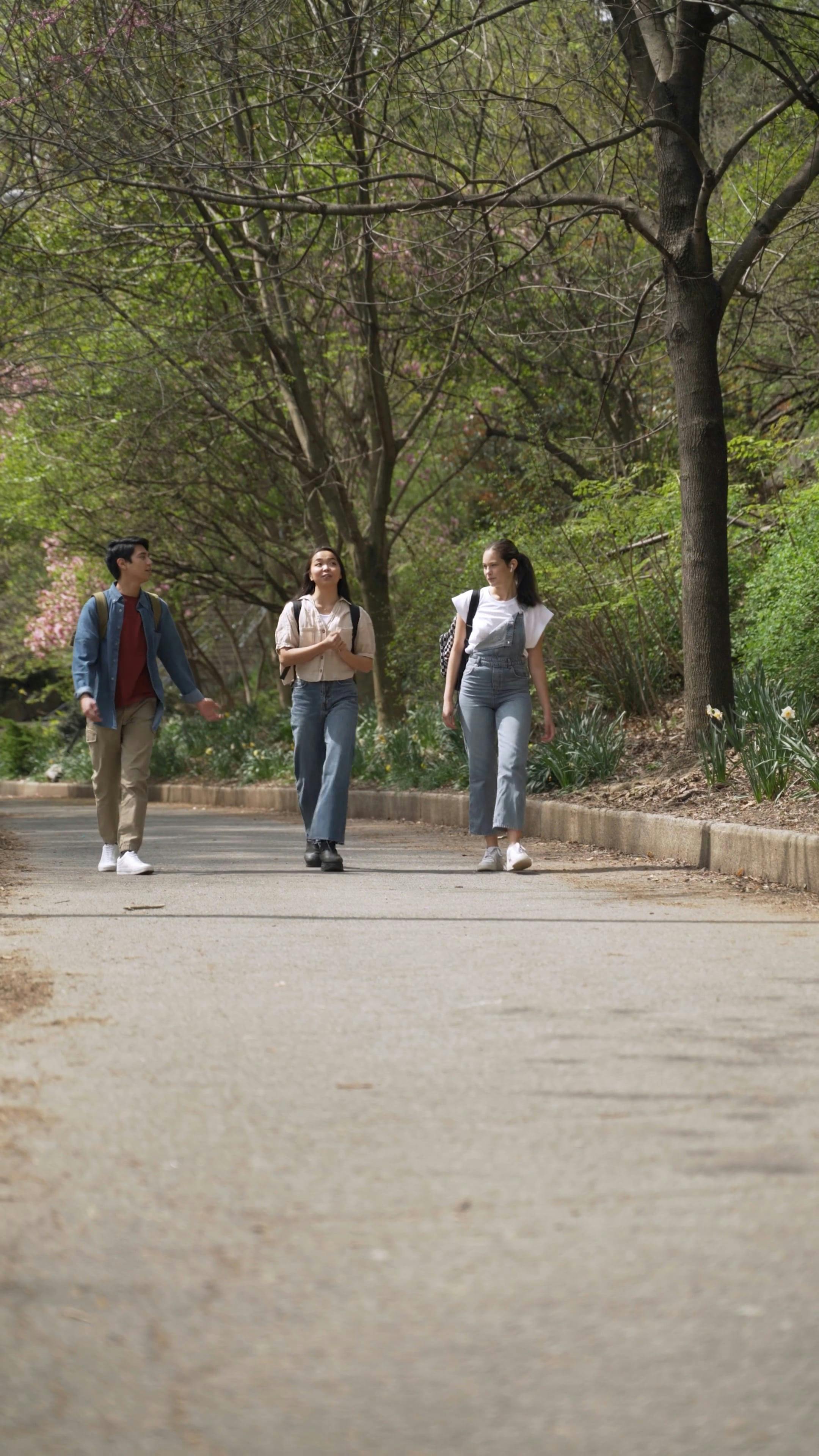 Students Walking inside the Campus Free Stock Video Footage, Royalty ...