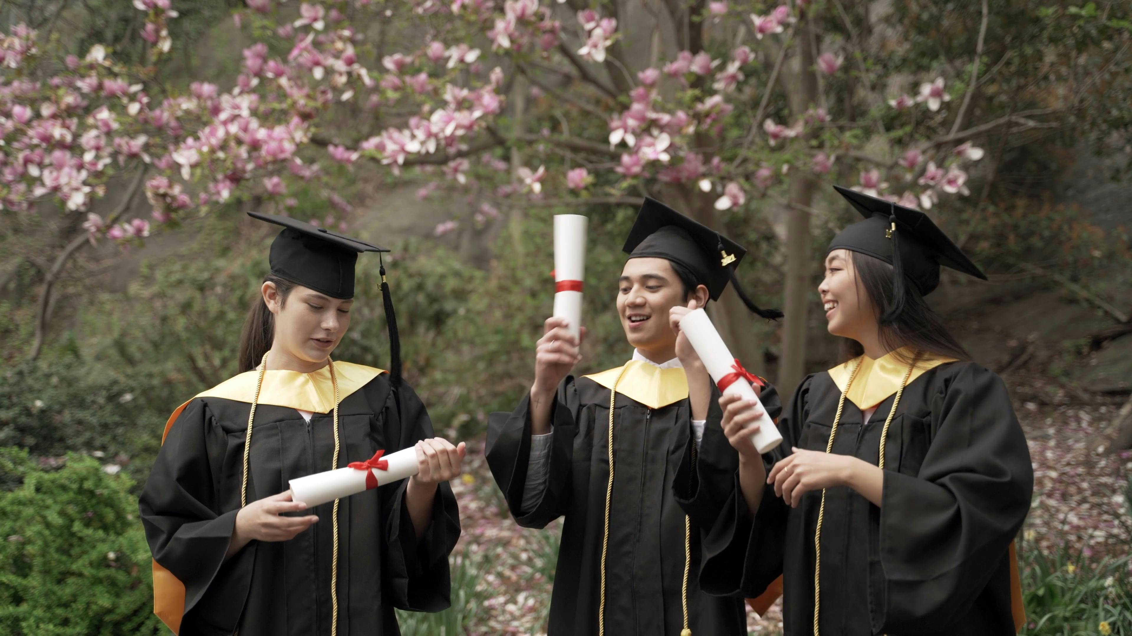 Graduation Portrait Background Videos, Download The BEST Free 4k Stock ...