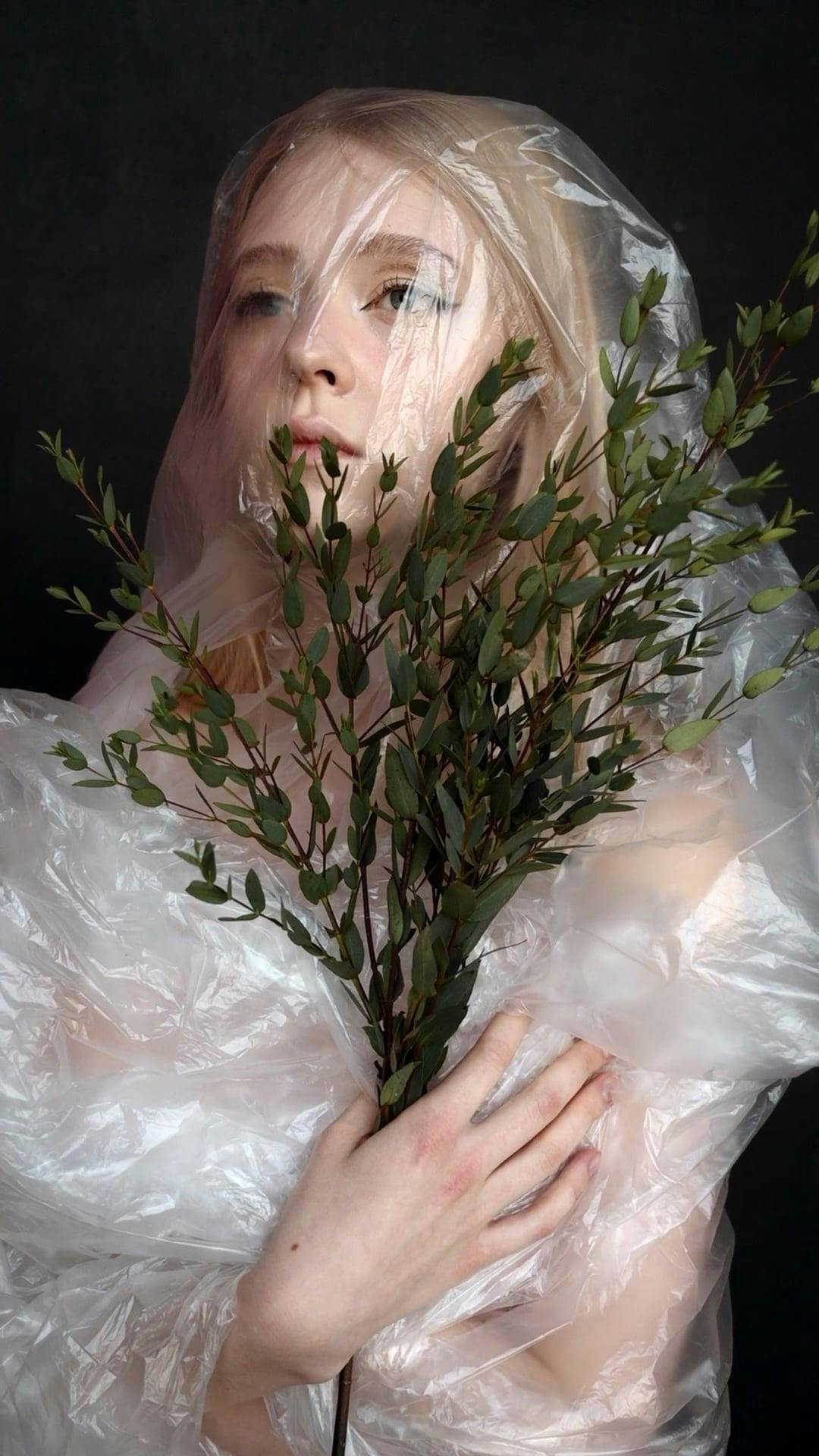 Wrapped Leaves Videos, Download The BEST Free 4k Stock Video Footage ...