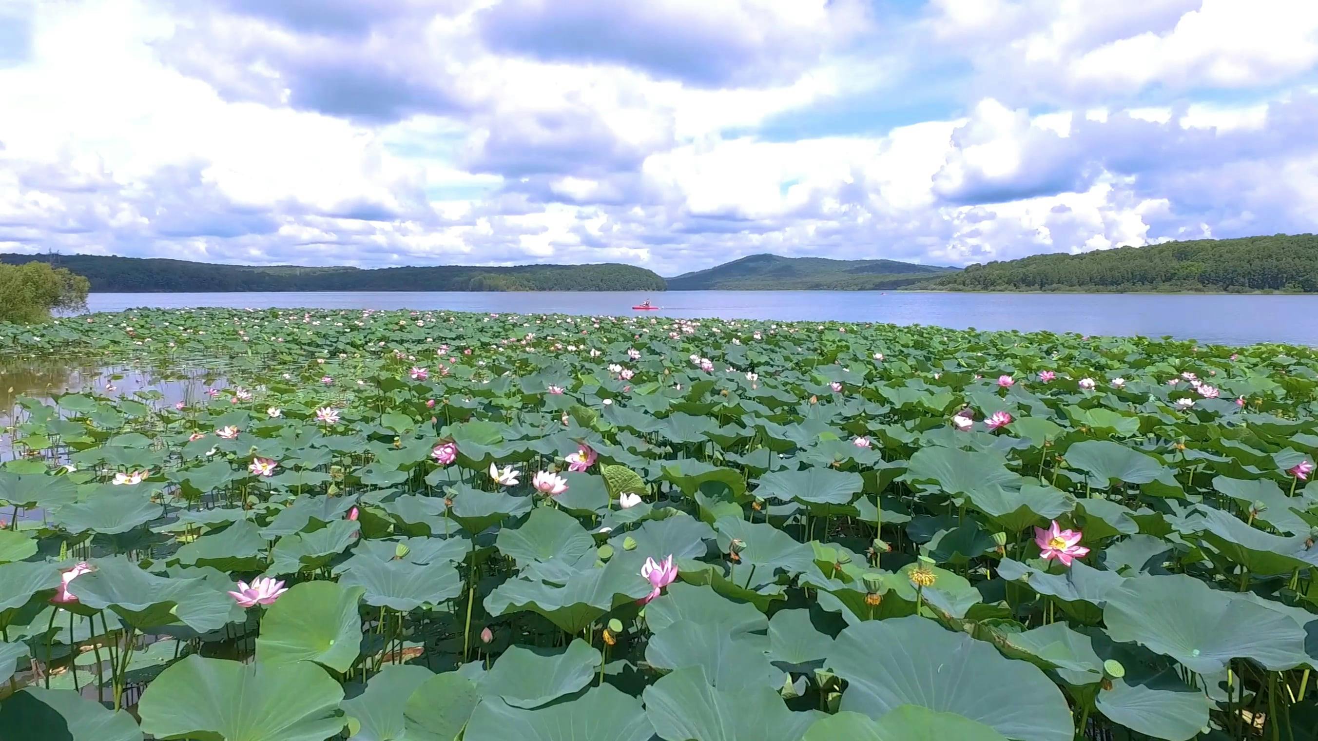 Zen Clouds Videos, Download The BEST Free 4k Stock Video Footage & Zen ...