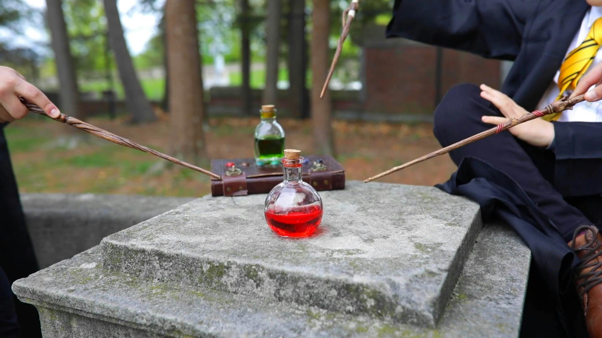 Potion In The Forest Videos, Download The BEST Free 4k Stock Video ...