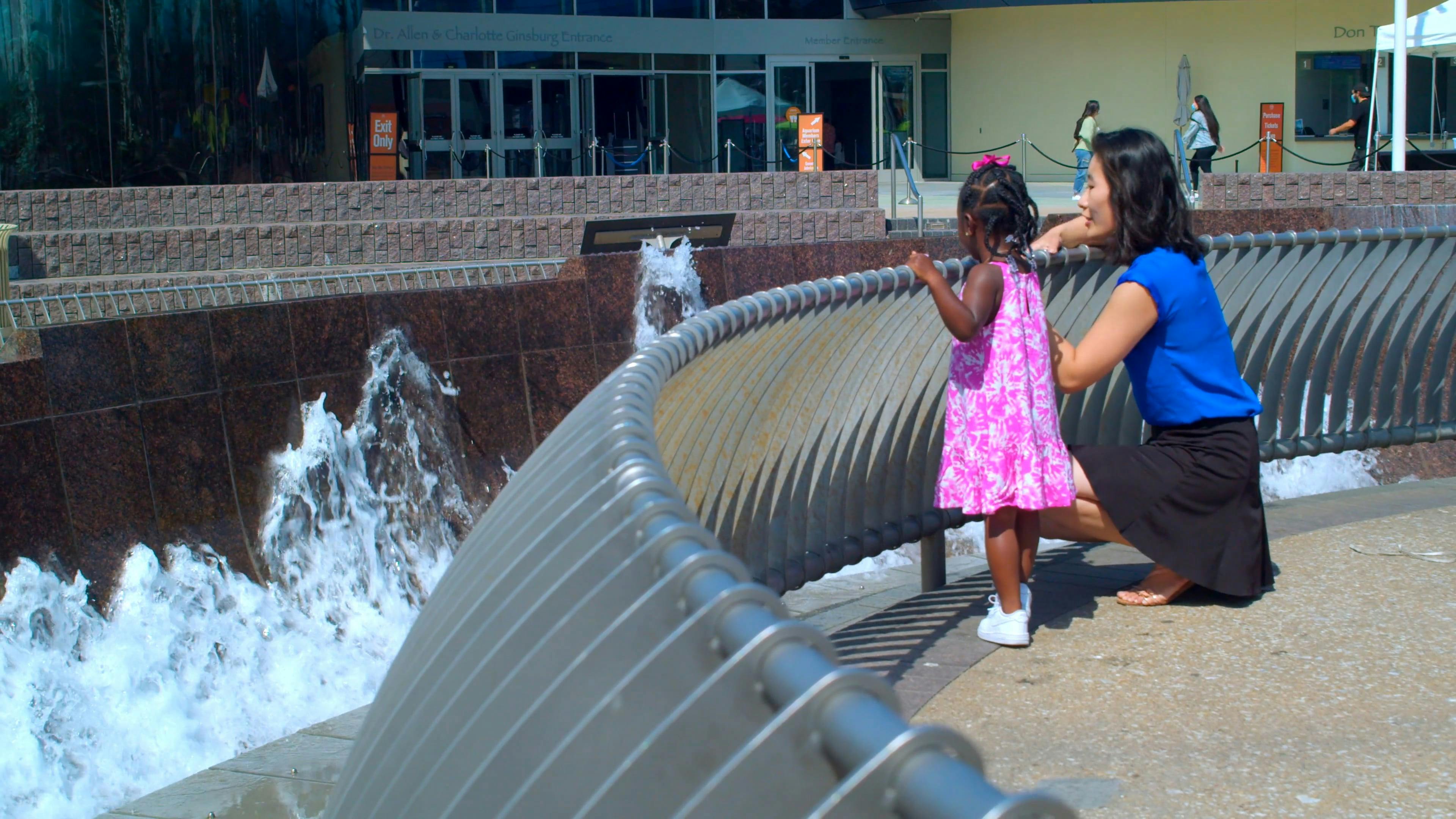 Onlooking Videos, Download The BEST Free 4k Stock Video Footage ...