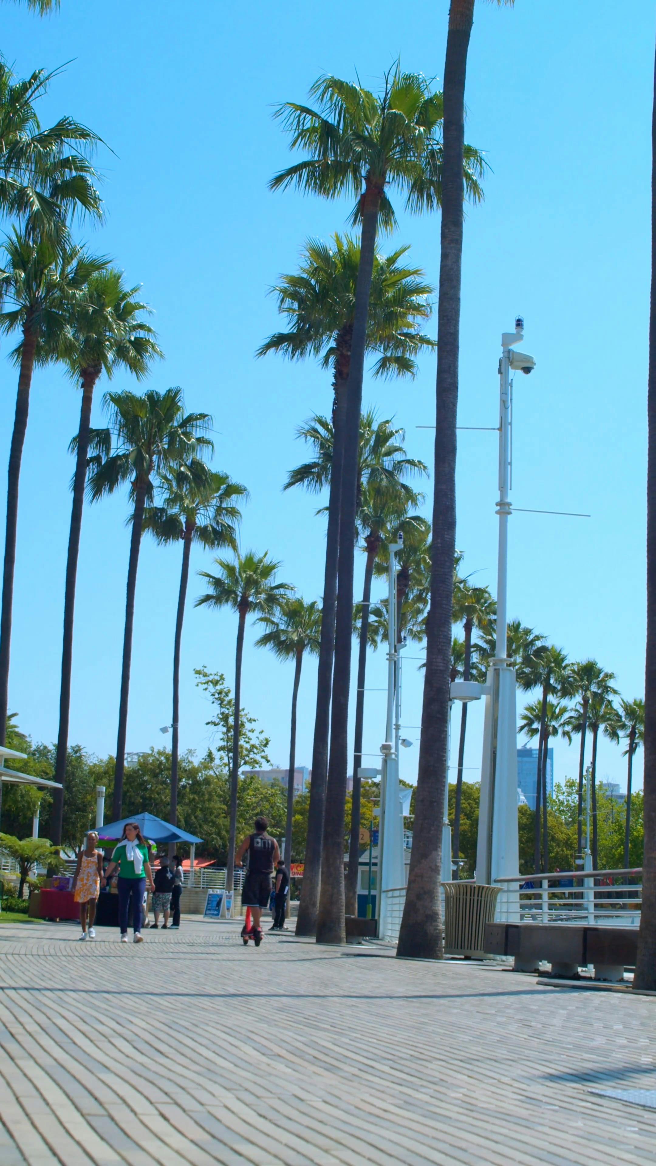 Adoption Journey Videos, Download The BEST Free 4k Stock Video Footage ...