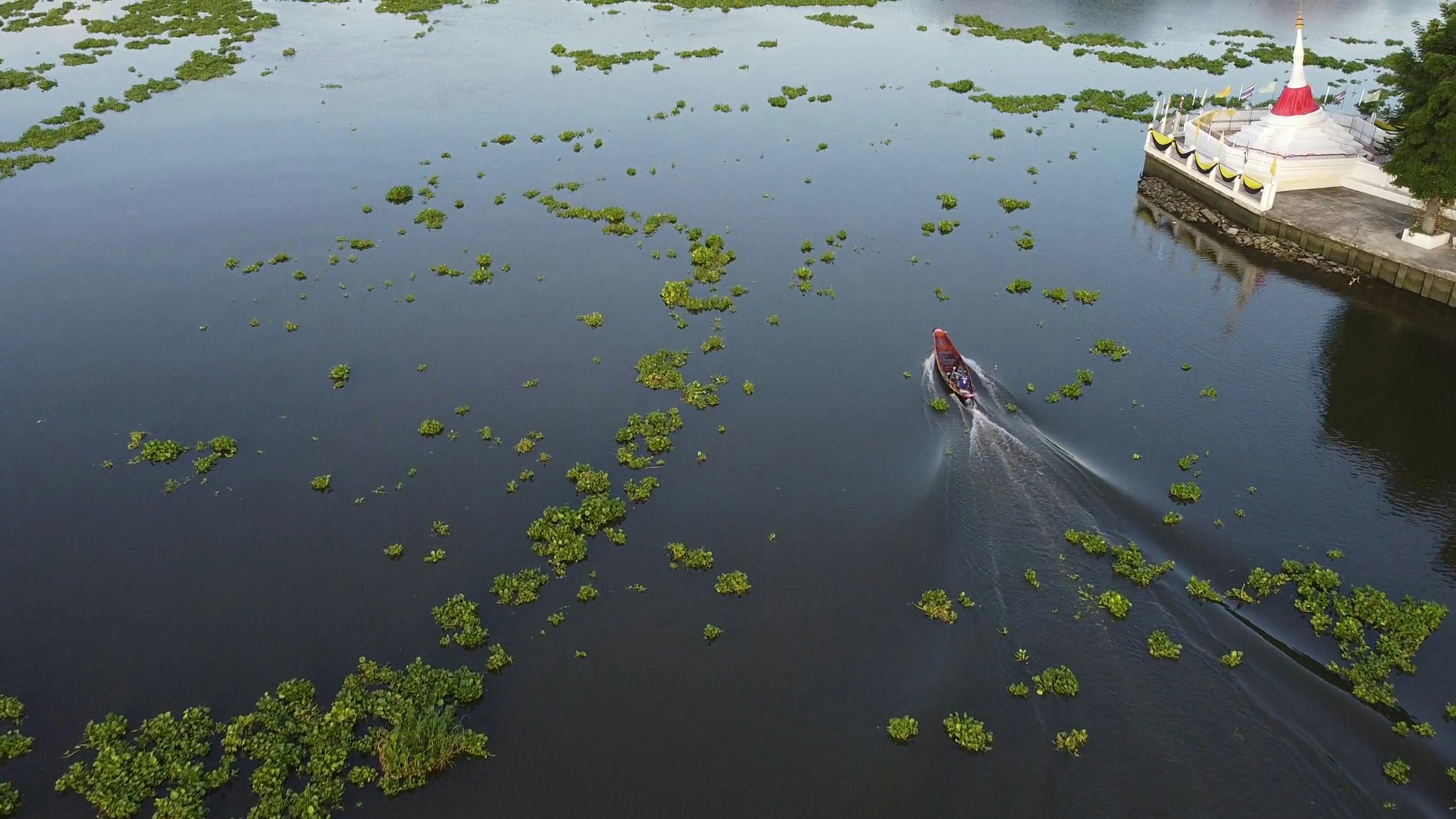 Aerial Shot of Speed Boat on the River · Free Stock Video