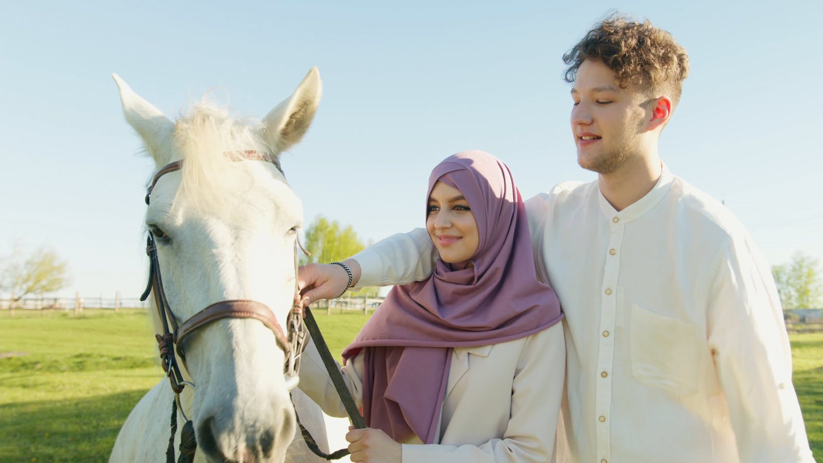 Arabian Horse Videos, Download The BEST Free 4k Stock Video Footage ...