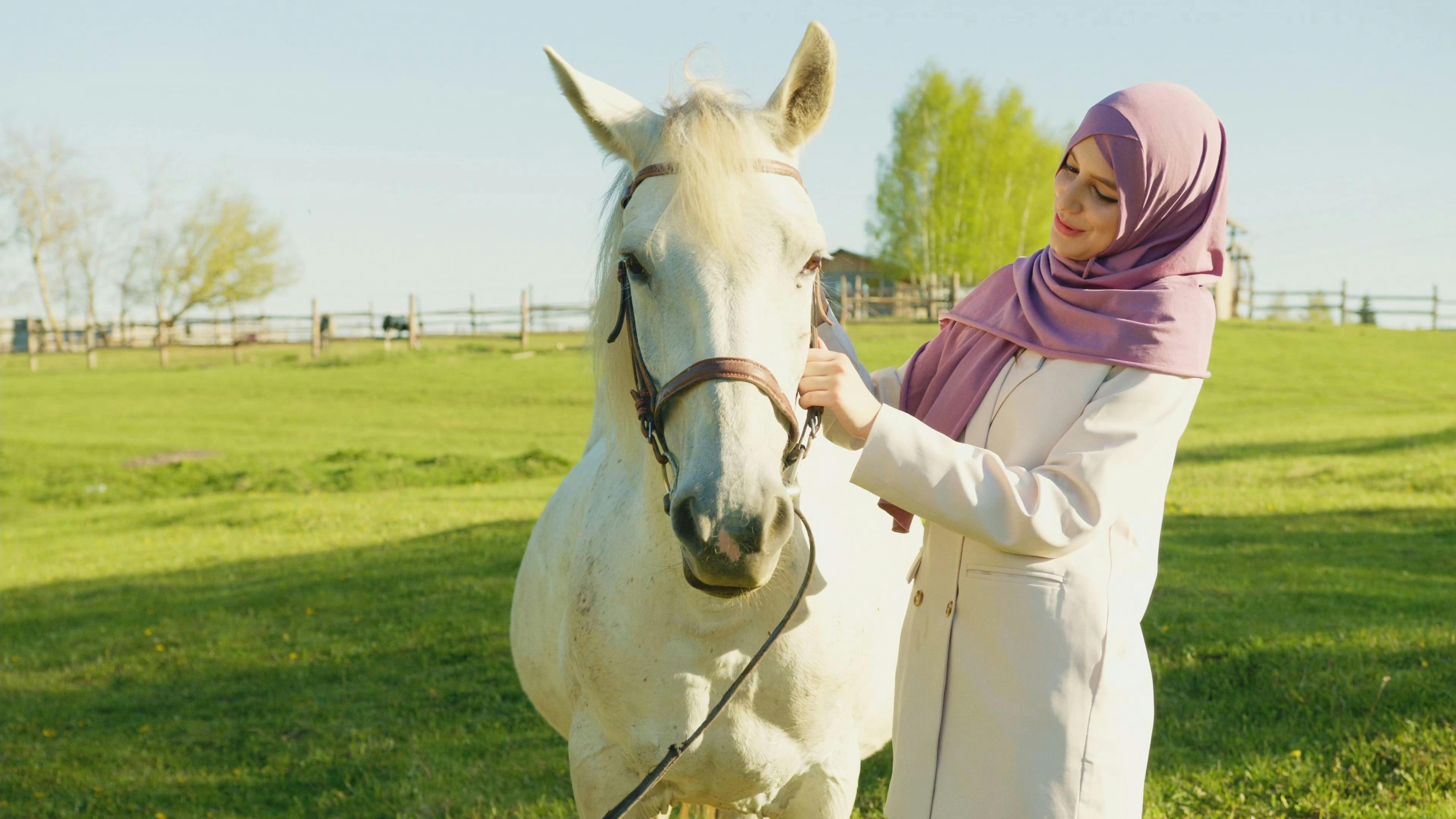 Couples Riding Horse Videos, Download The BEST Free 4k Stock Video ...