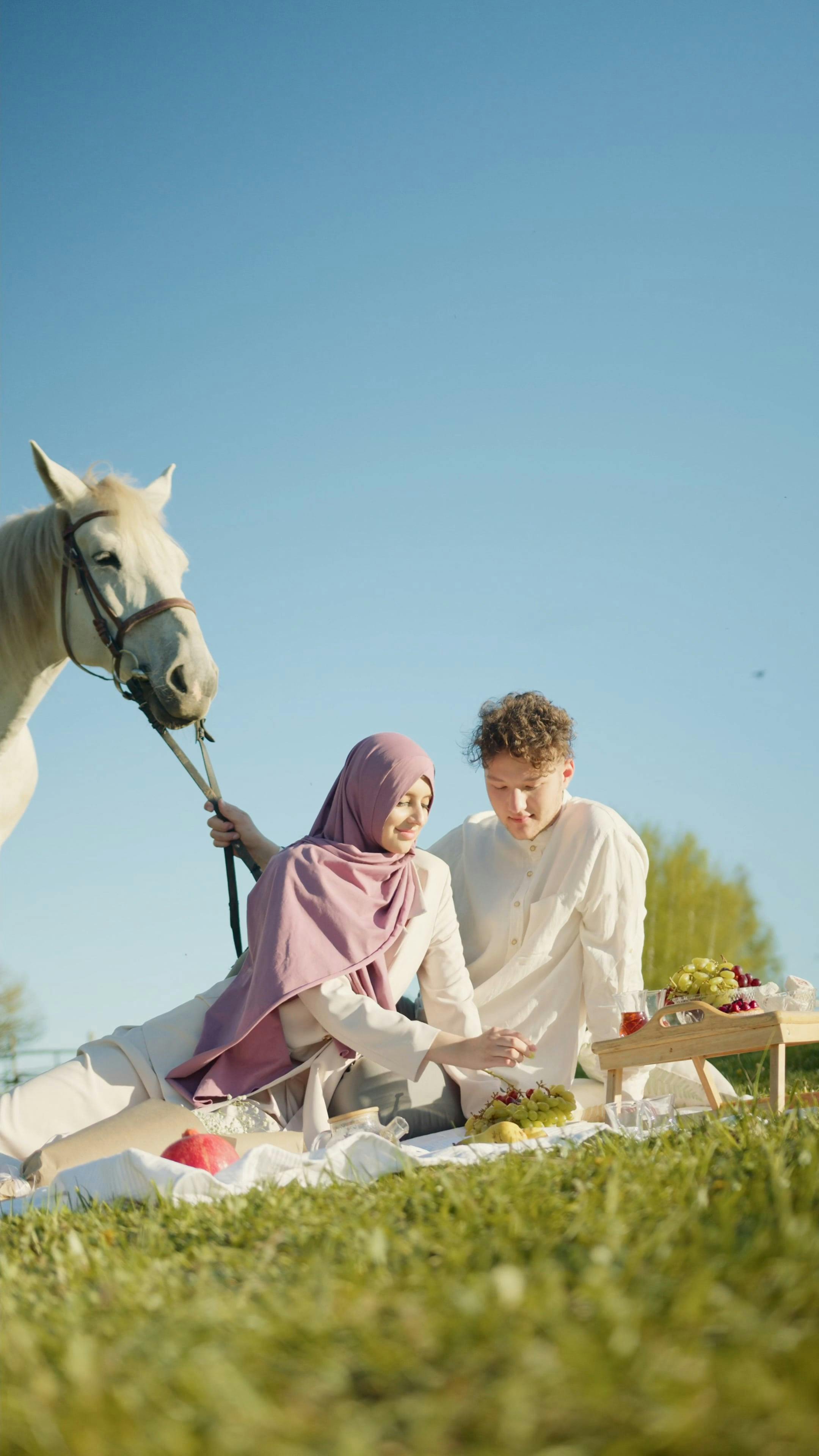 Arabian Horse Videos, Download The BEST Free 4k Stock Video Footage ...