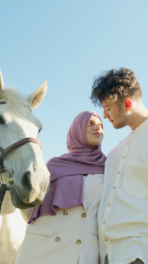 Arabian Horse Videos, Download The BEST Free 4k Stock Video Footage ...