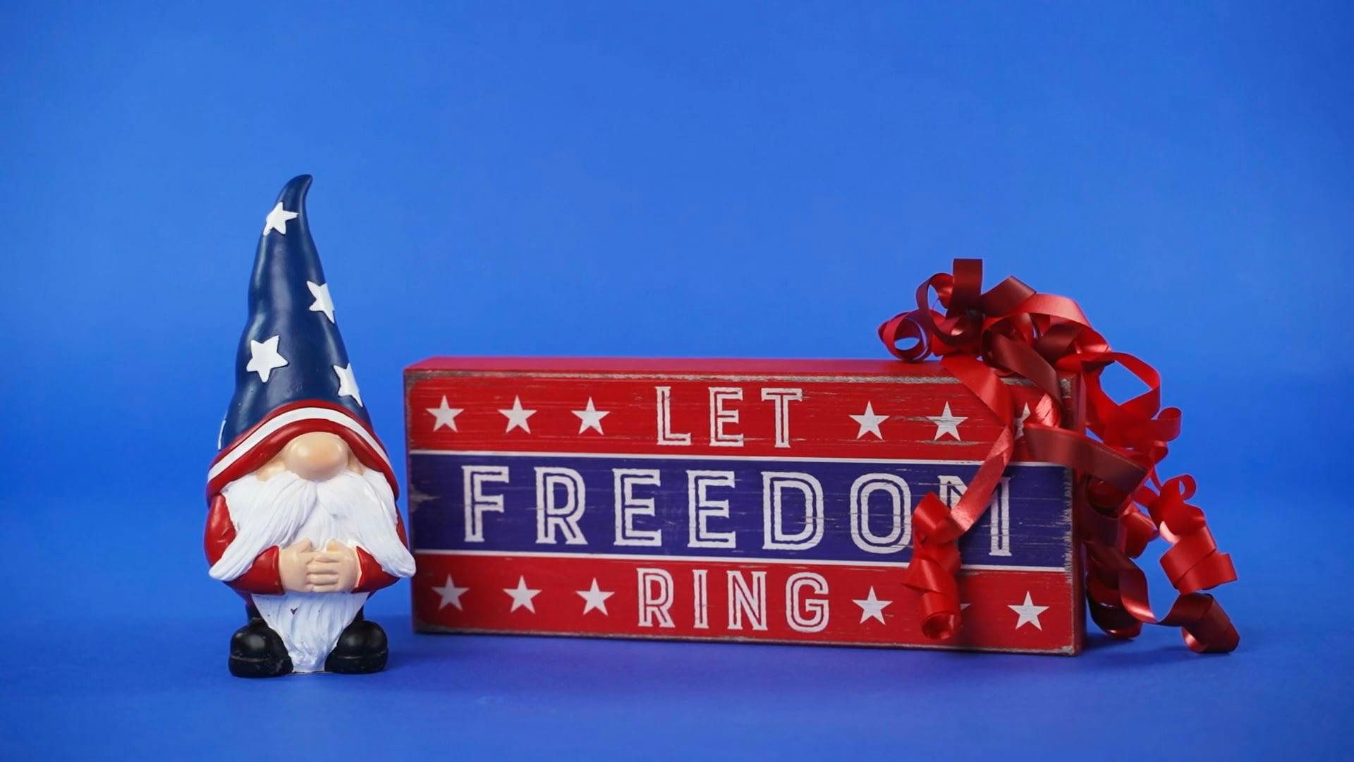Let Freedom Ring Free Stock Video Footage, Royalty-Free 4K & HD Video Clip