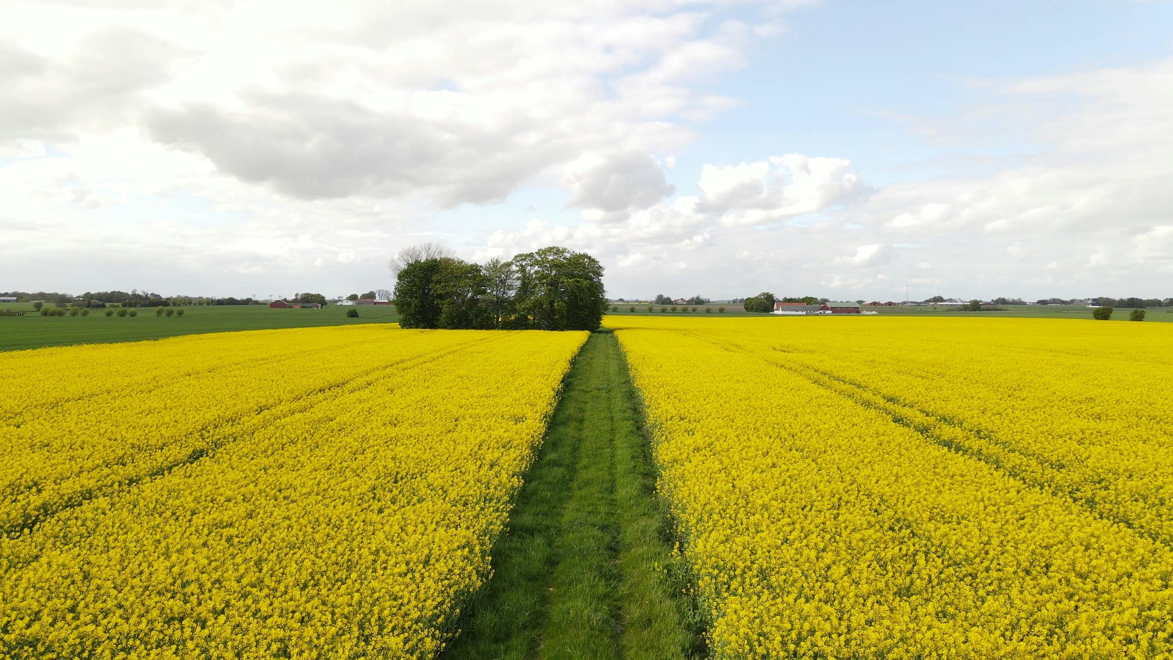 Drone View Of A Vast Cropland Under A Cloudy Sky Free Stock Video ...