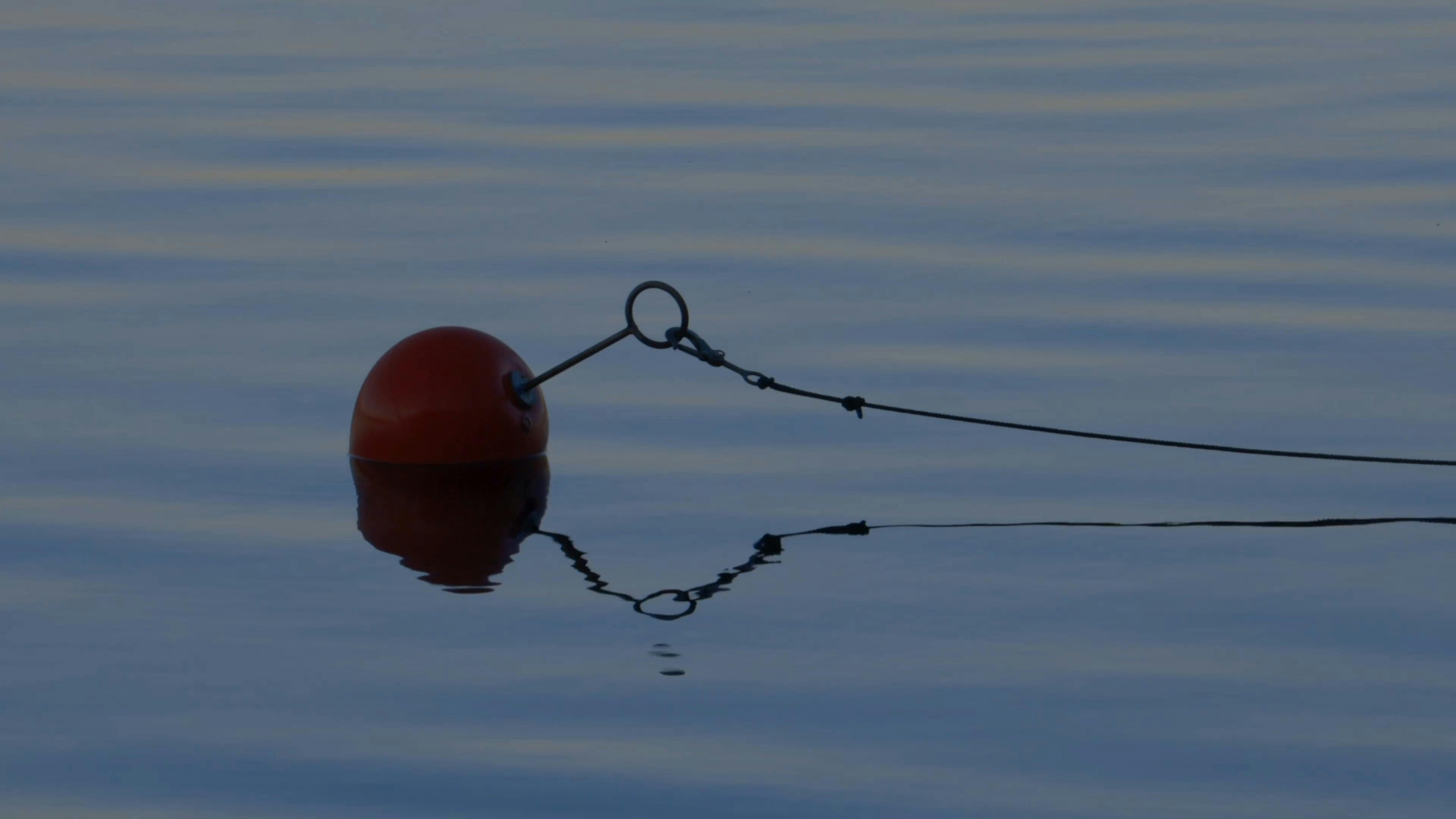 Fish Bait Floating in the Water · Free Stock Video