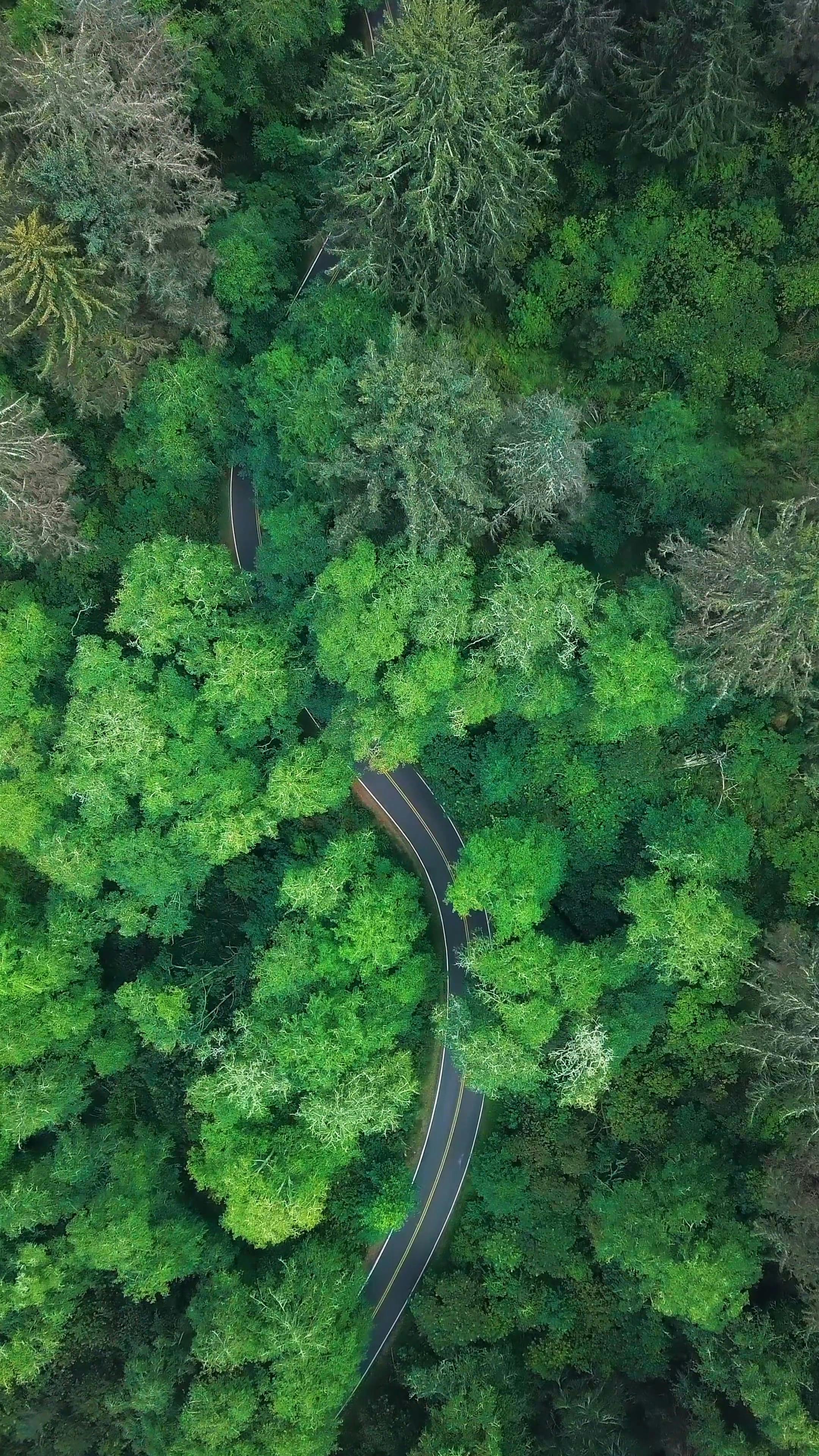 Kostenloses Stock-Video zum Thema abenteuer, abgelegen, aufsicht ...