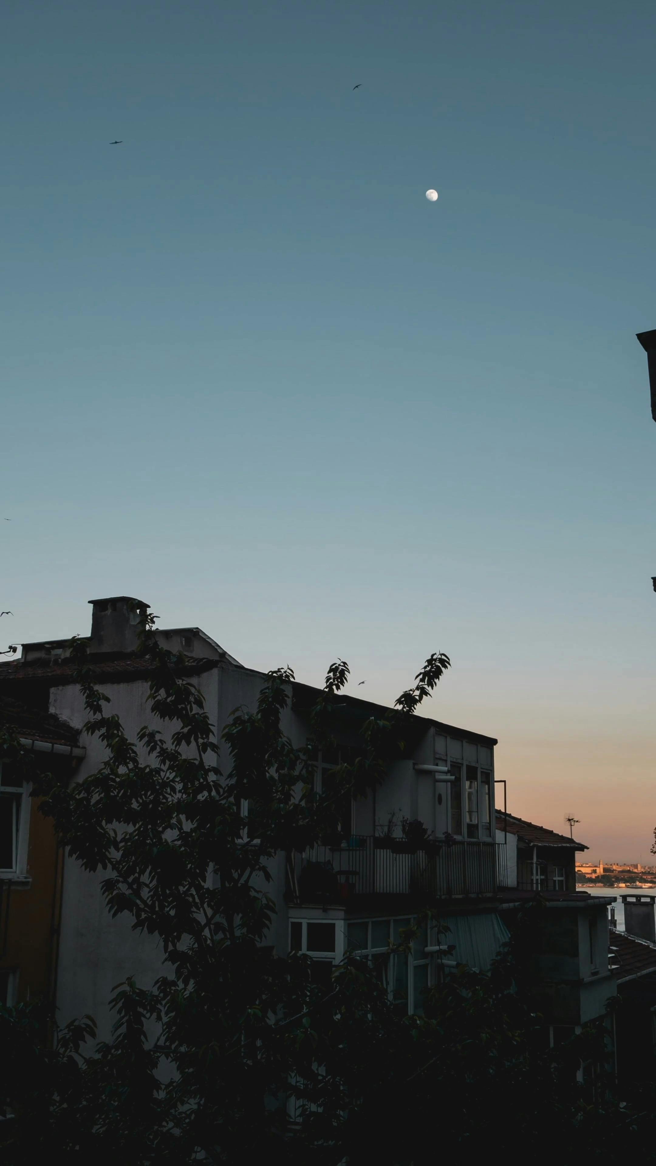 Time-Lapse Video of a Moon Rising Free Stock Video Footage, Royalty ...