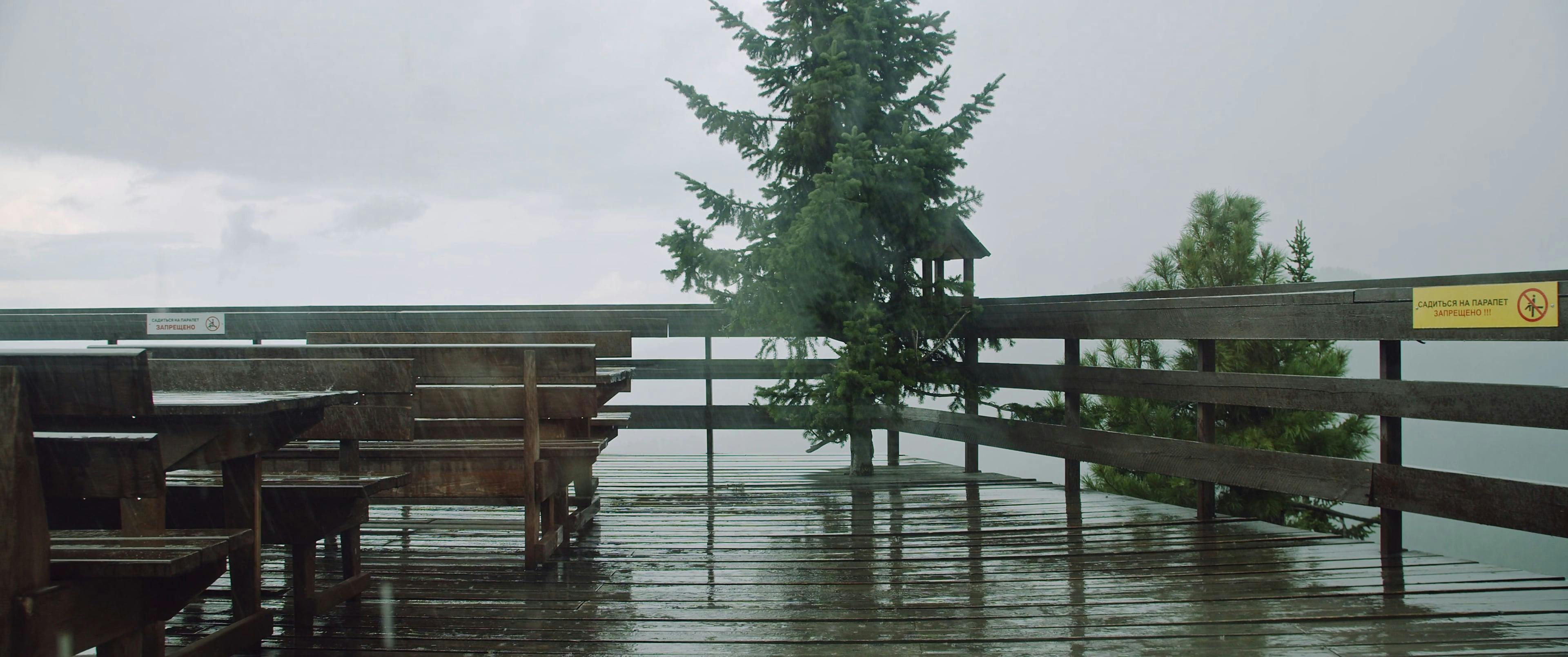 A Rainy Day · Free Stock Video