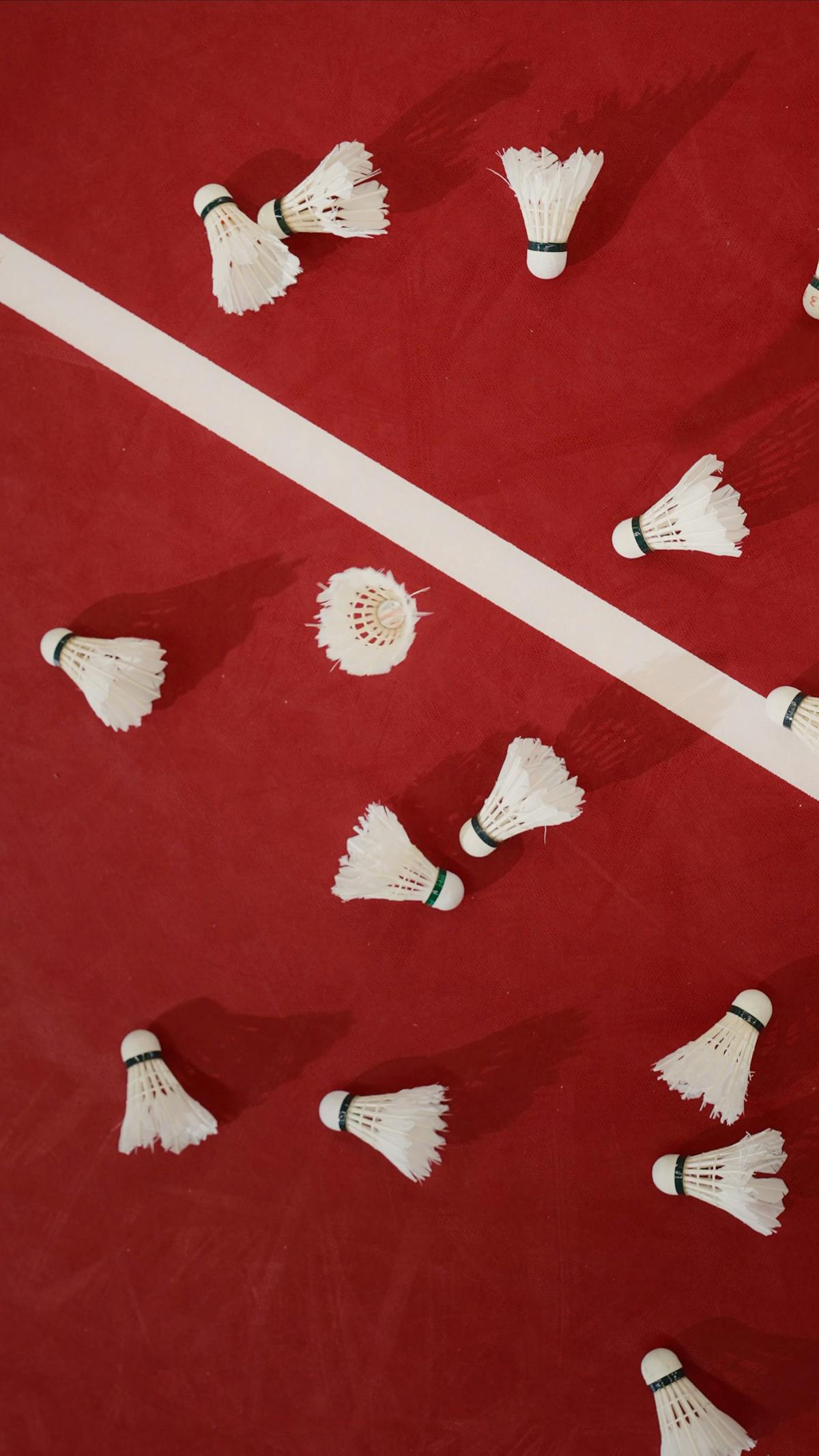 Badminton Videos, Download The BEST Free 4k Stock Video Footage ...