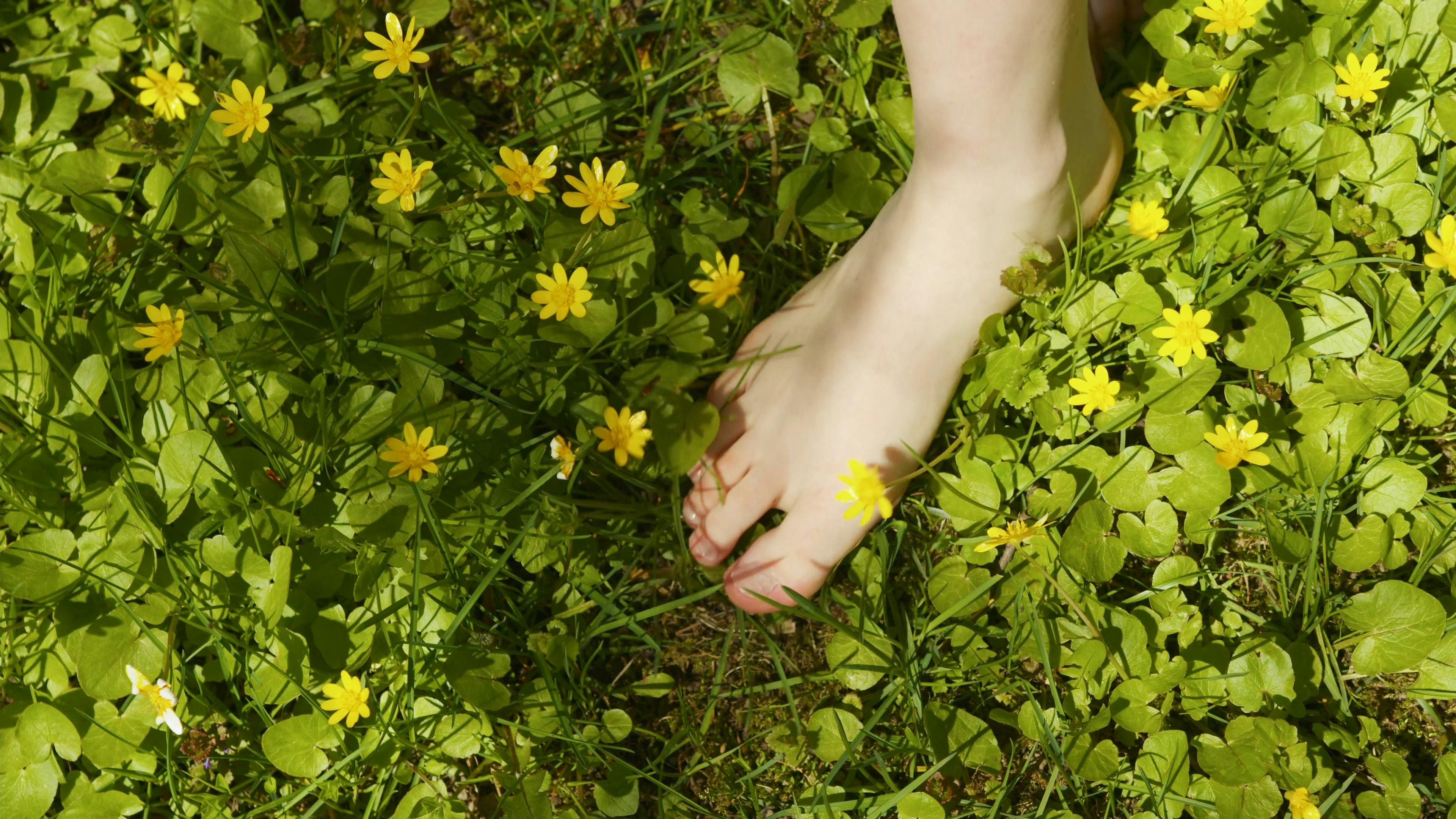 Grounding Springtime Videos, Download The BEST Free 4k Stock Video ...